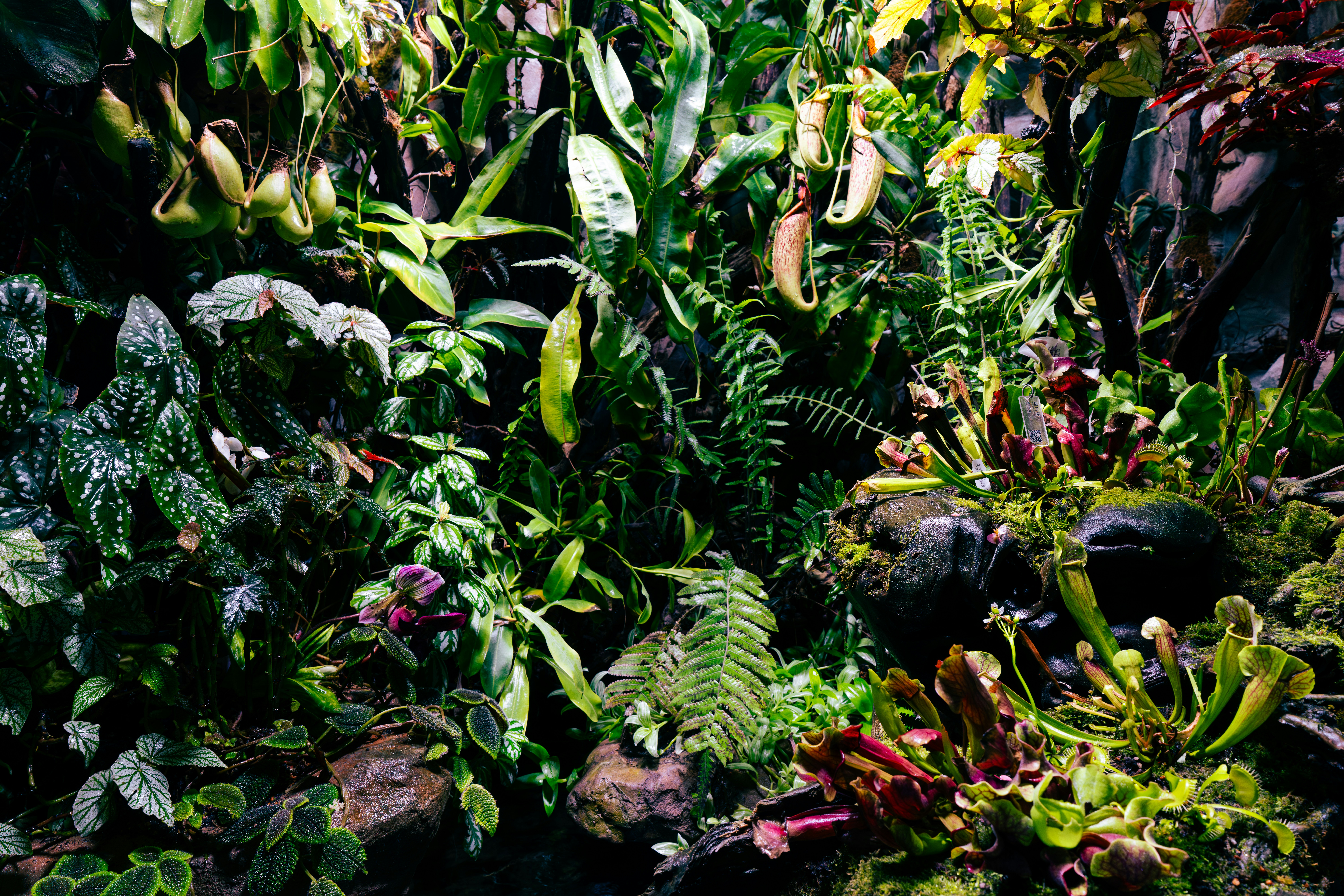 Shanghai Greenhouse Garden