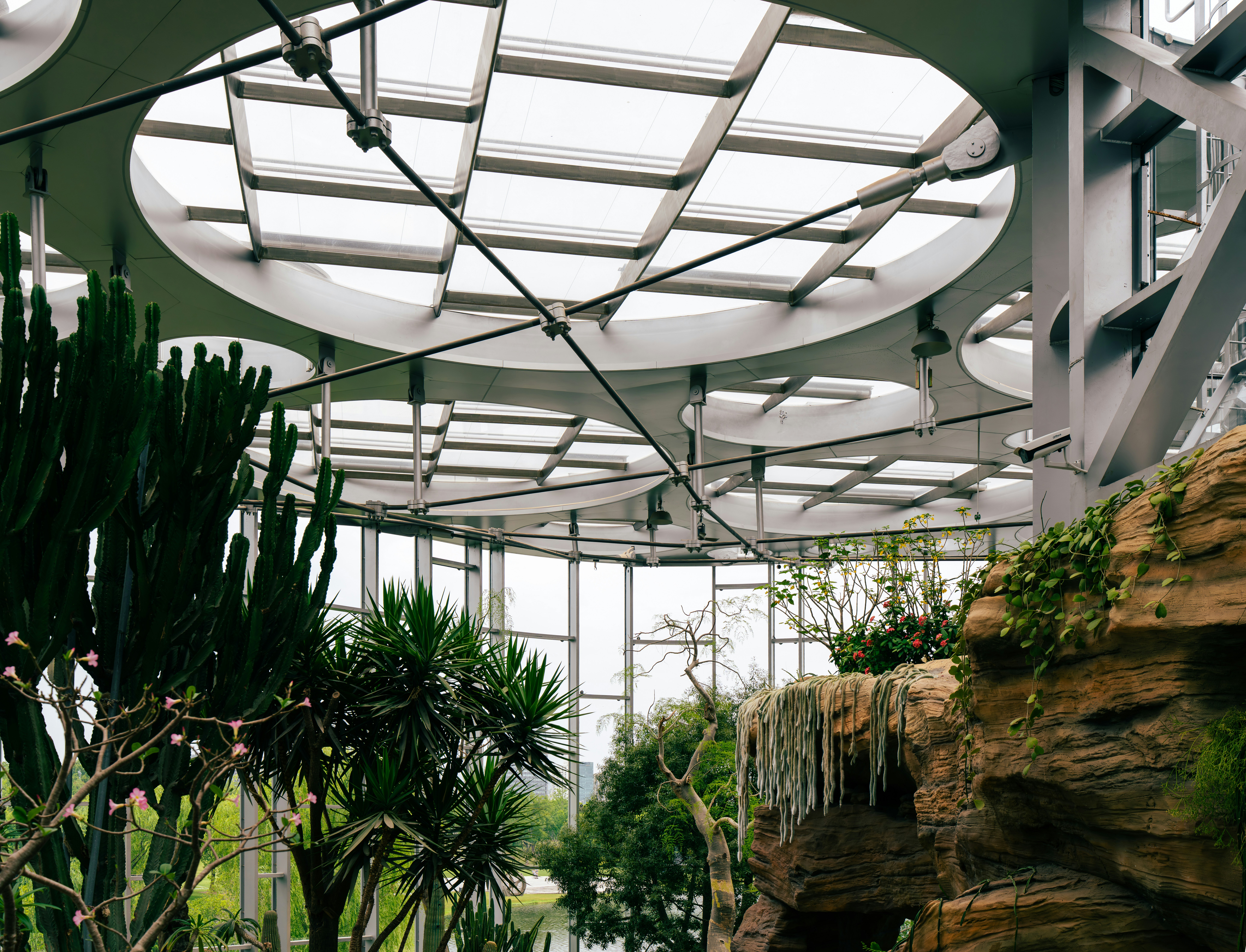 Glass Canopy Over Greenhouse Atrium