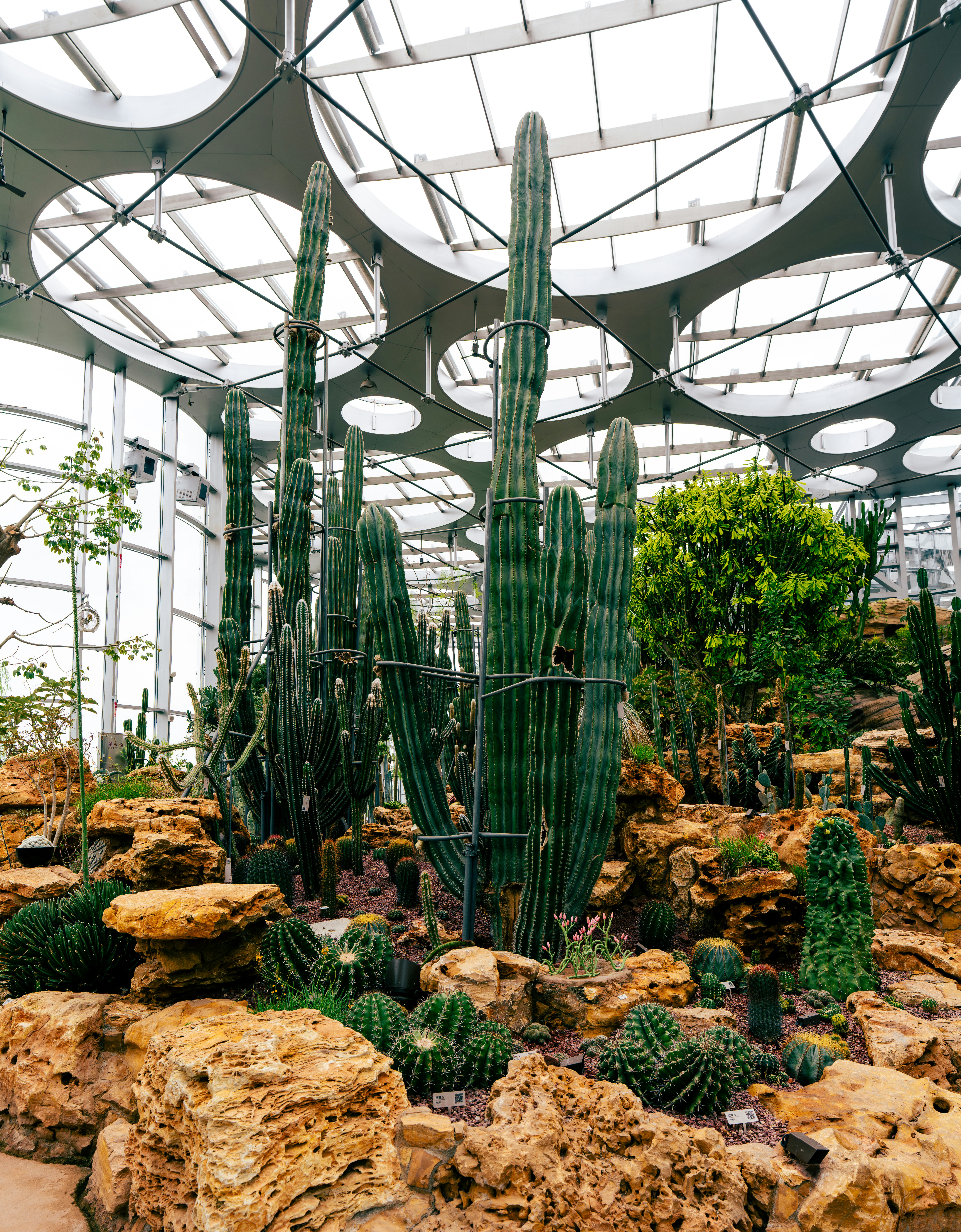 Shanghai Greenhouse Garden