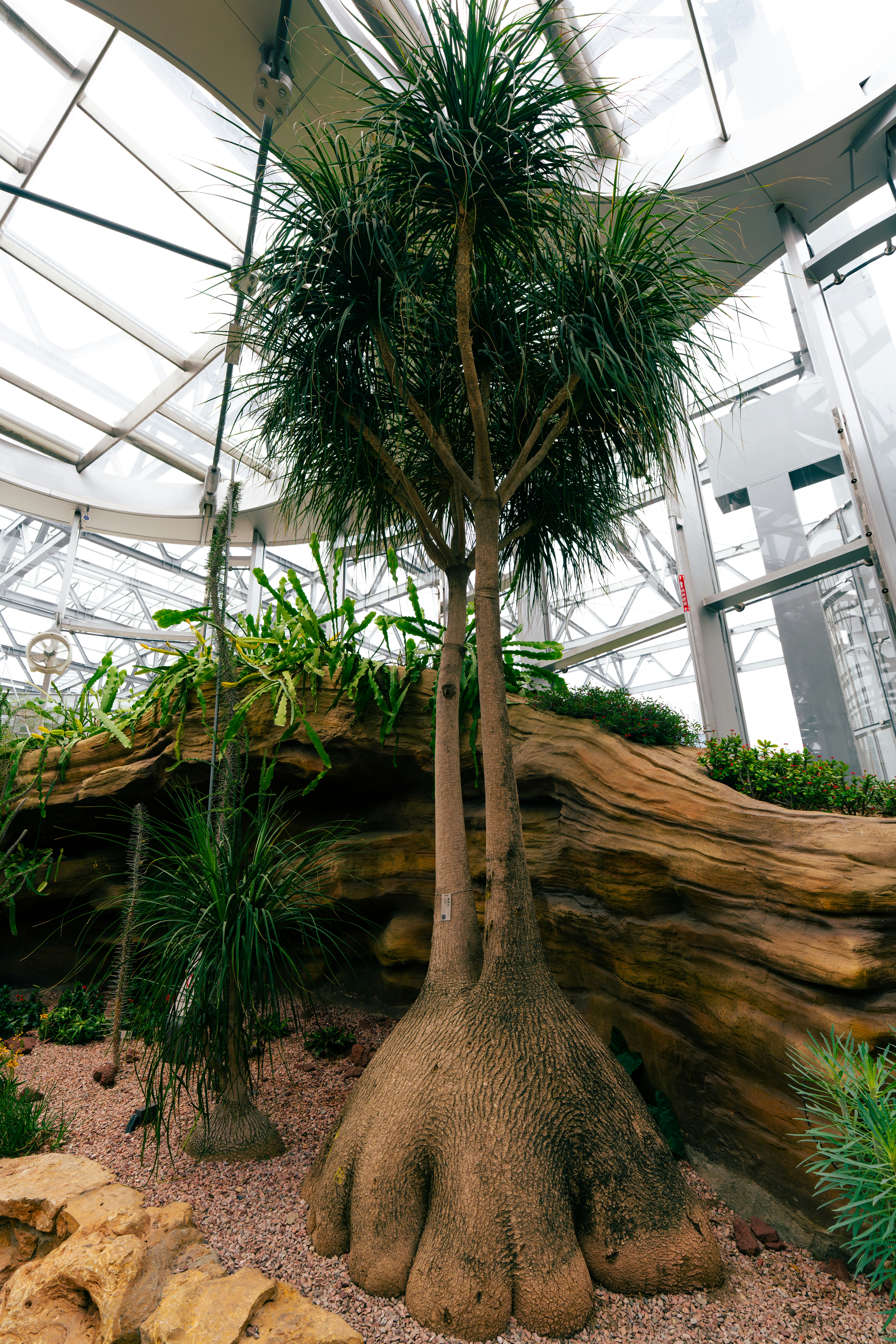 Shanghai Greenhouse Garden