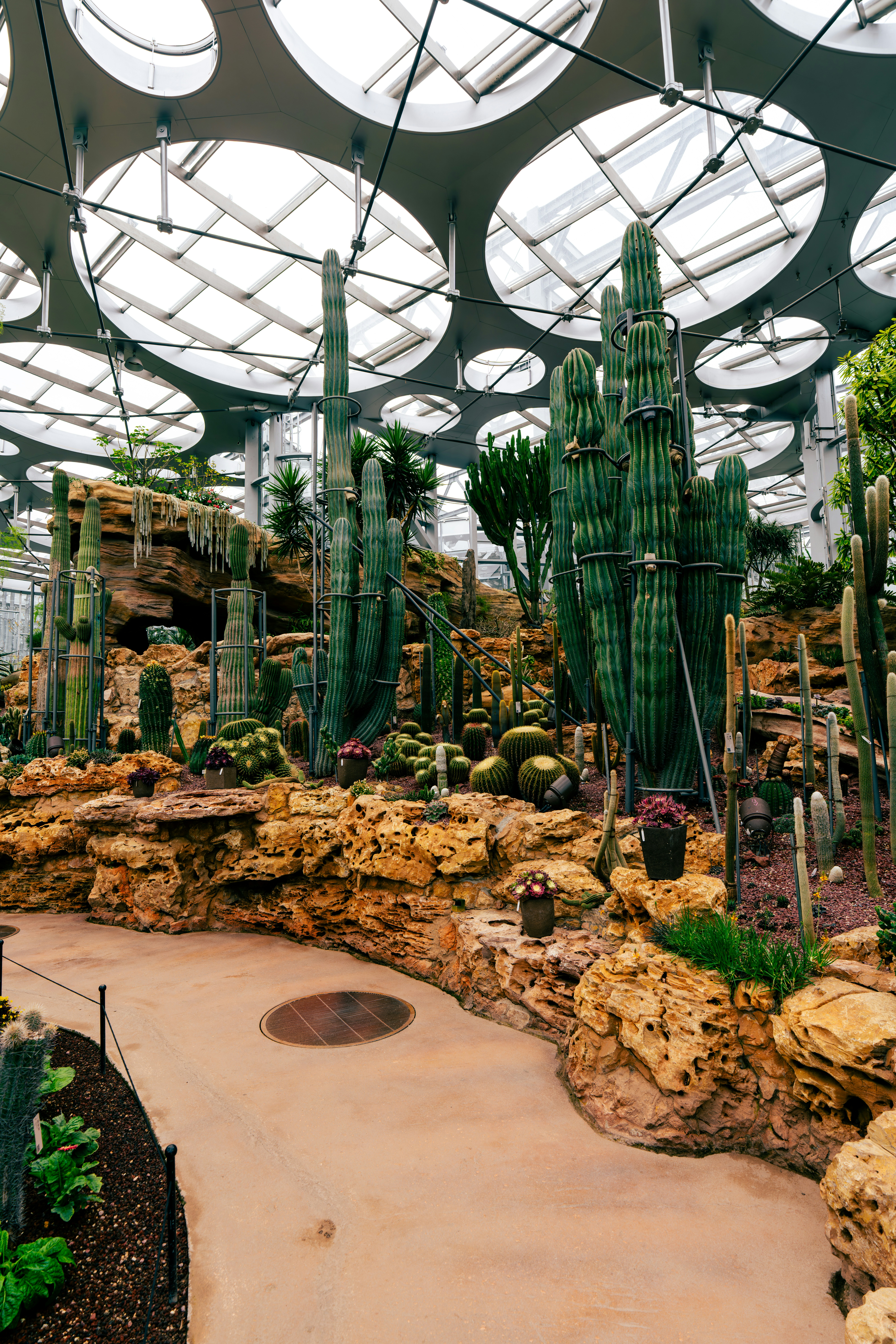 Shanghai Greenhouse Garden
