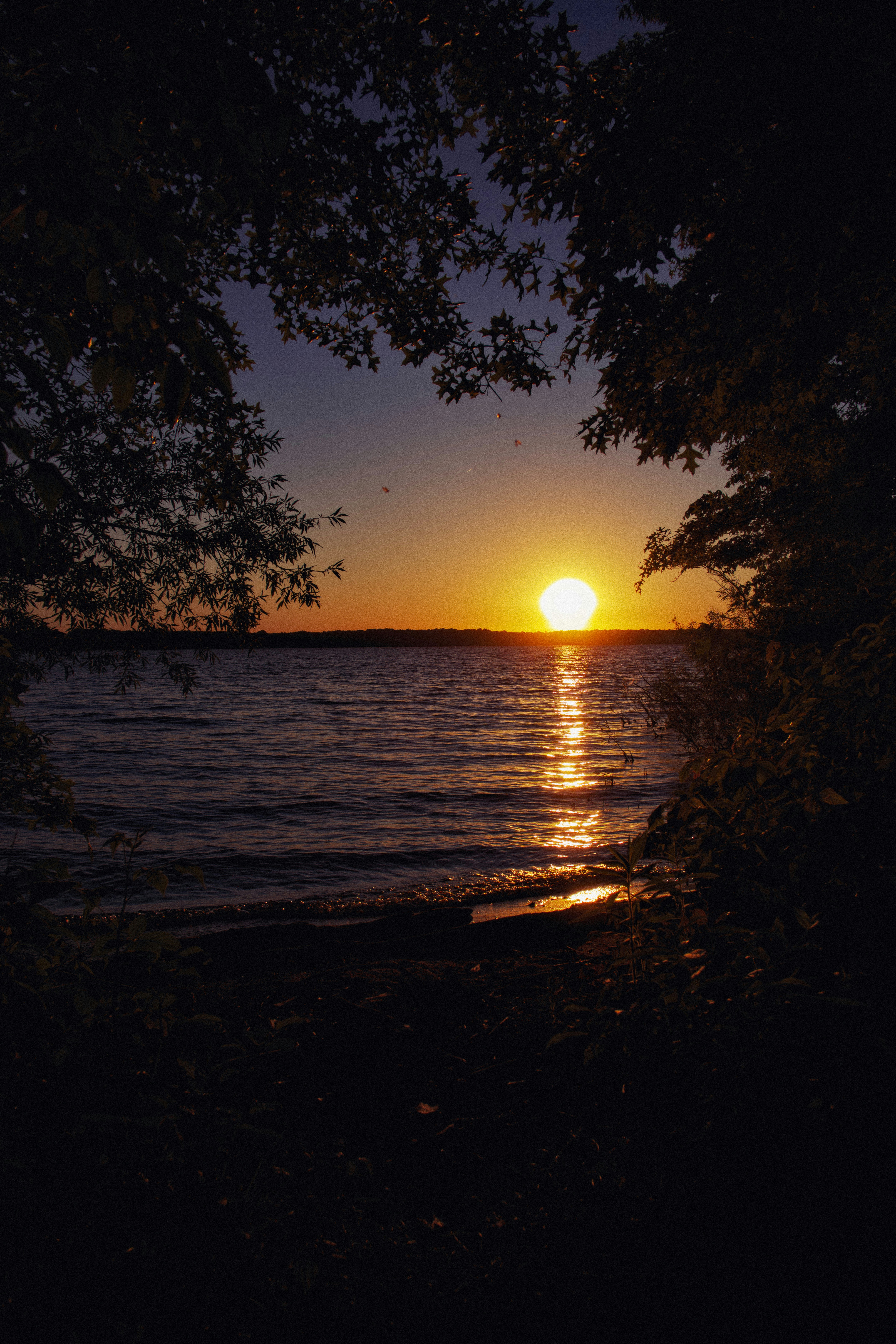 Sunlit Horizon: Quiet Lake at Golden Hour