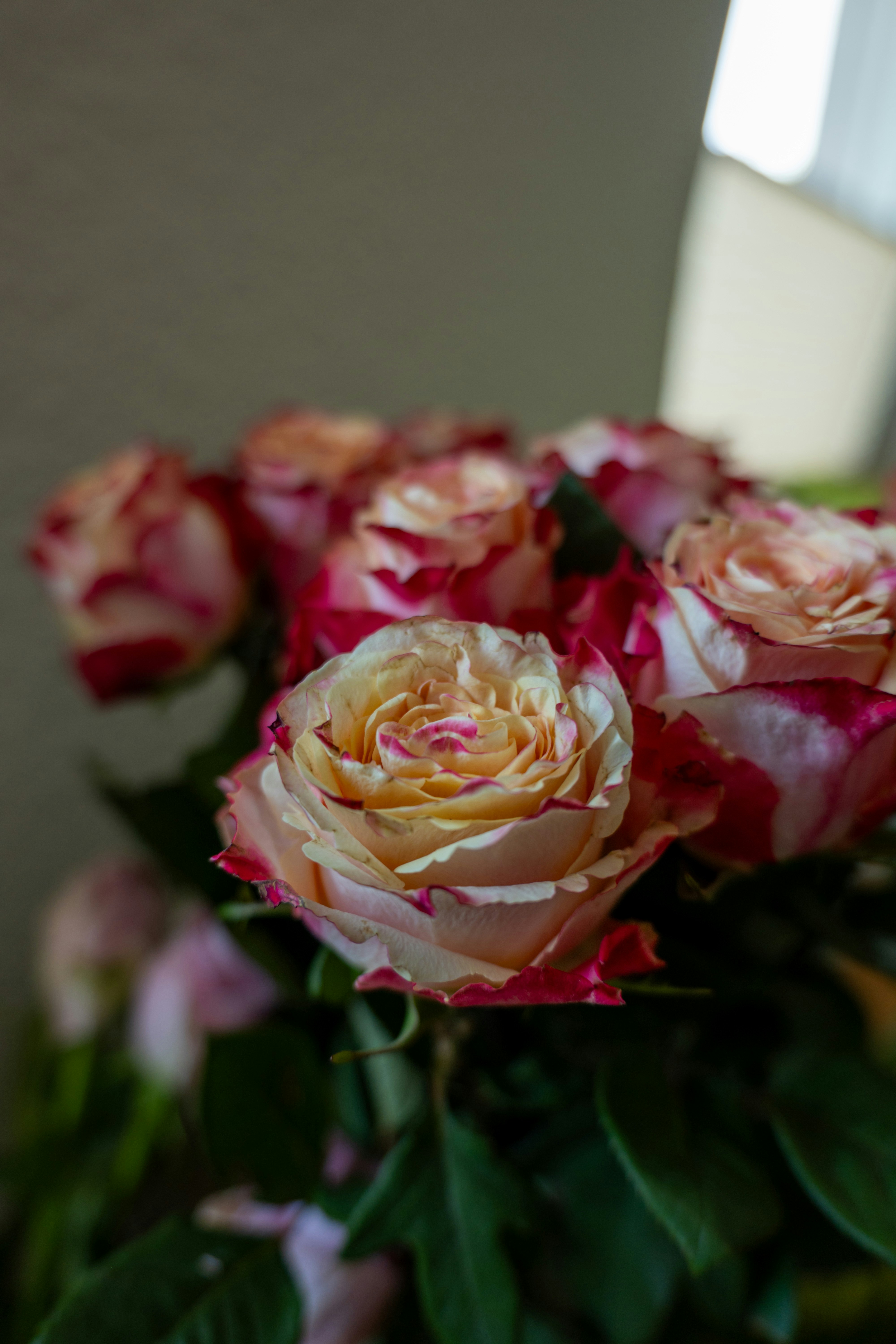 Beautiful white and red roses in a vibrant bouquet.