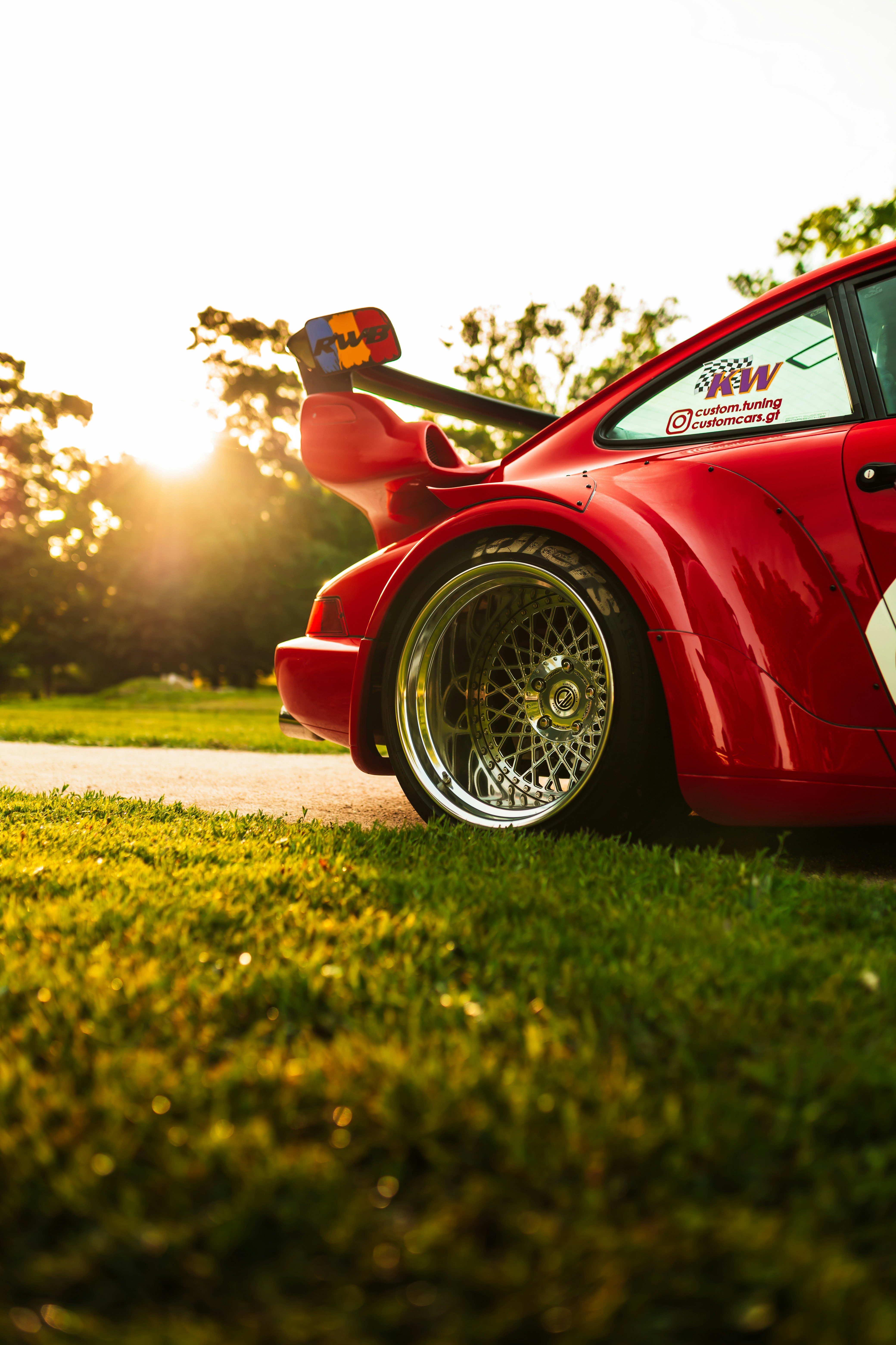 Red Racer in Sunlit Grass: A Low-Angle Portrait of Speed
