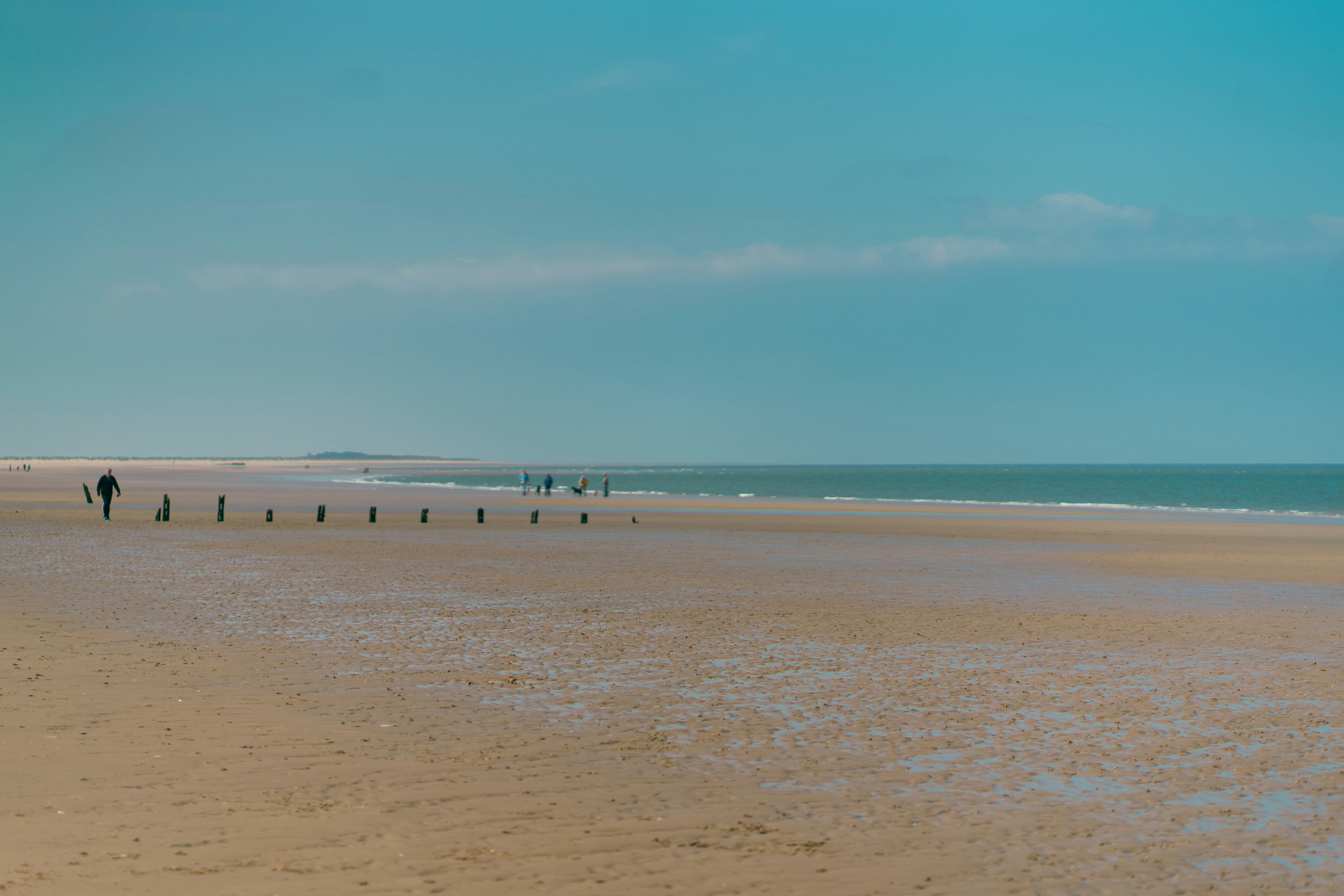 Tide Line Echoes: Figures Walk the Quiet Shore