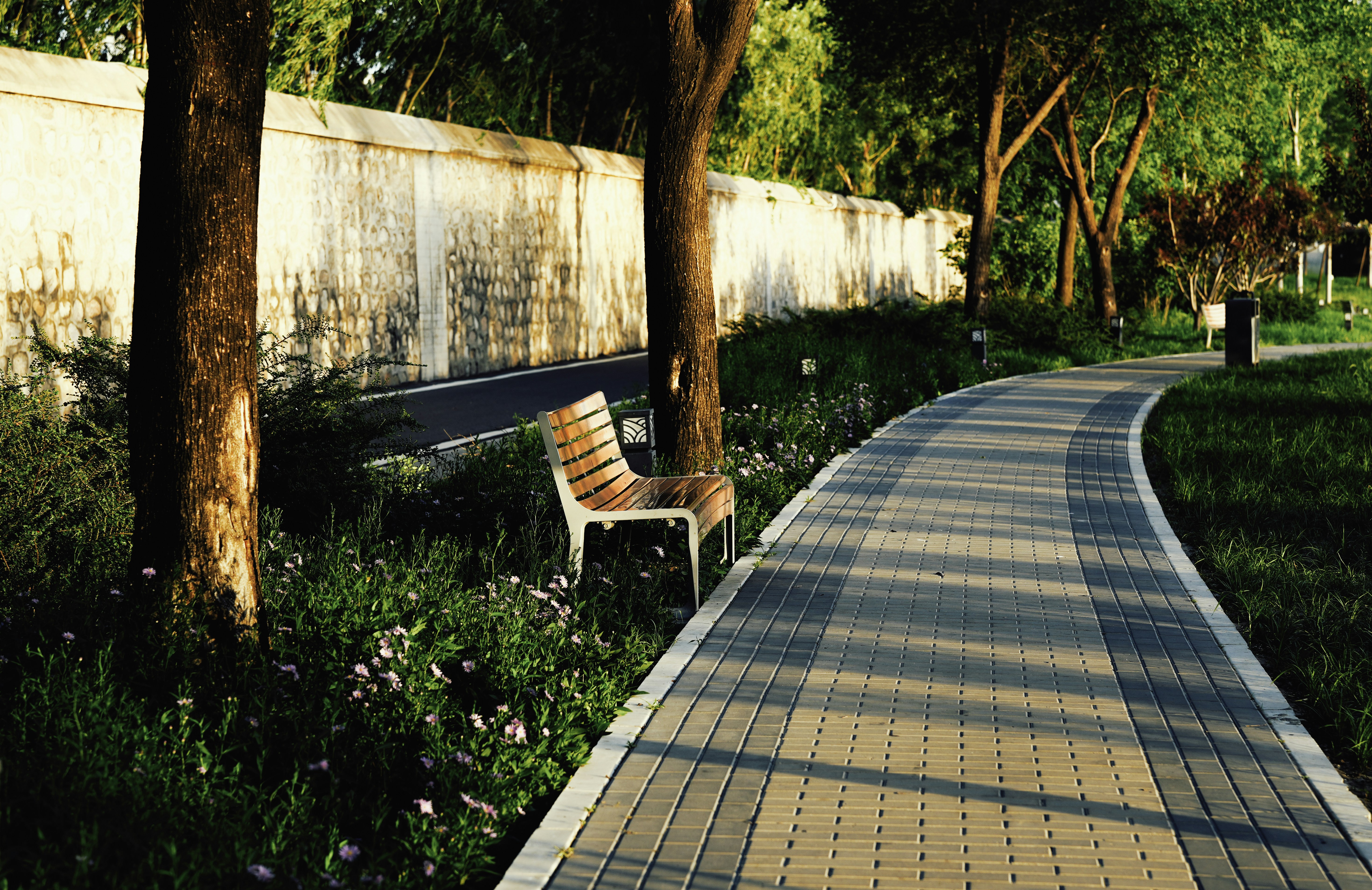 Curved paved path with trees, a bench, and a wall.
