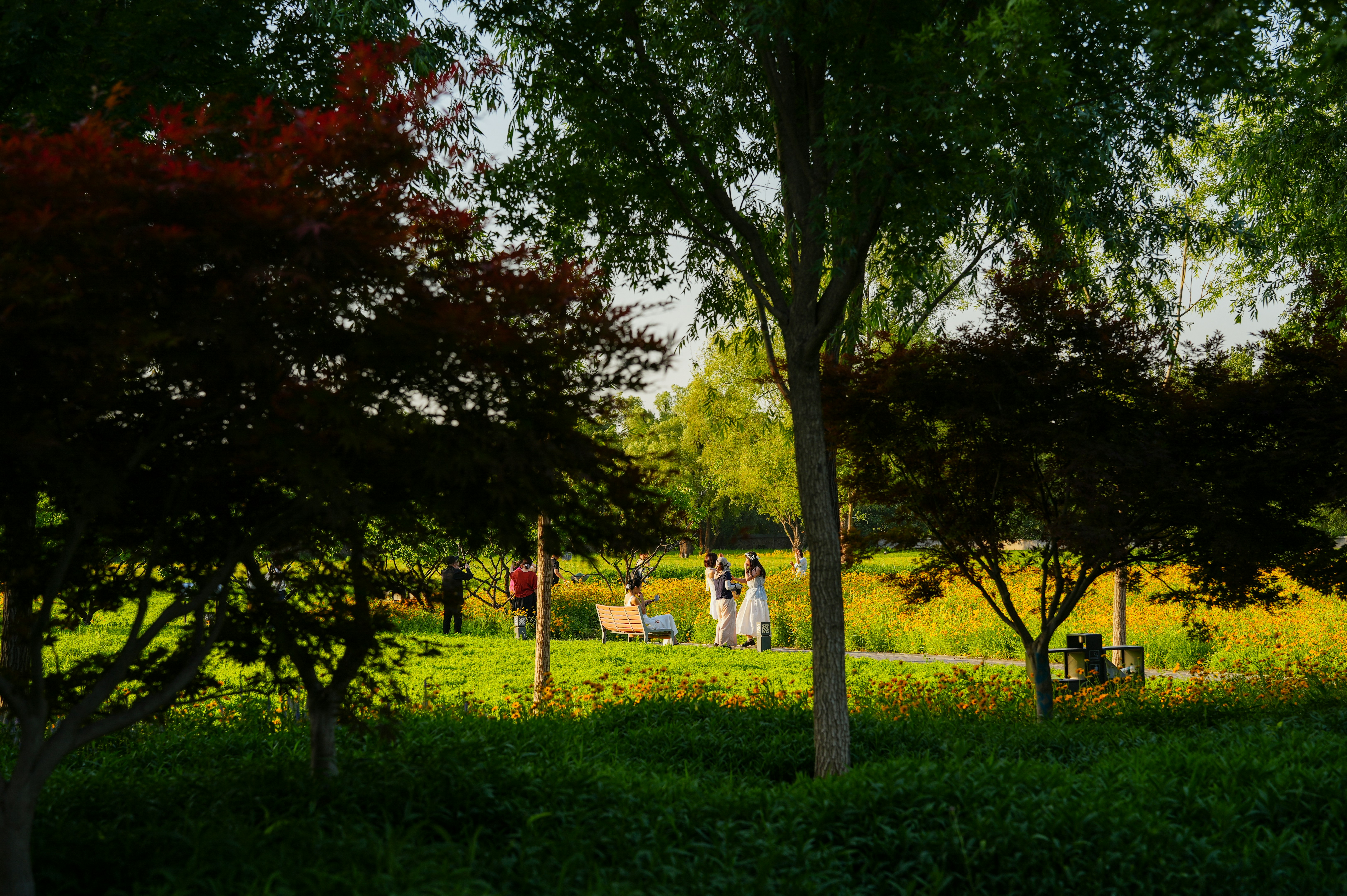 Sunlit Park Ceremony: Quiet Portrait of a Moment in the Clearing