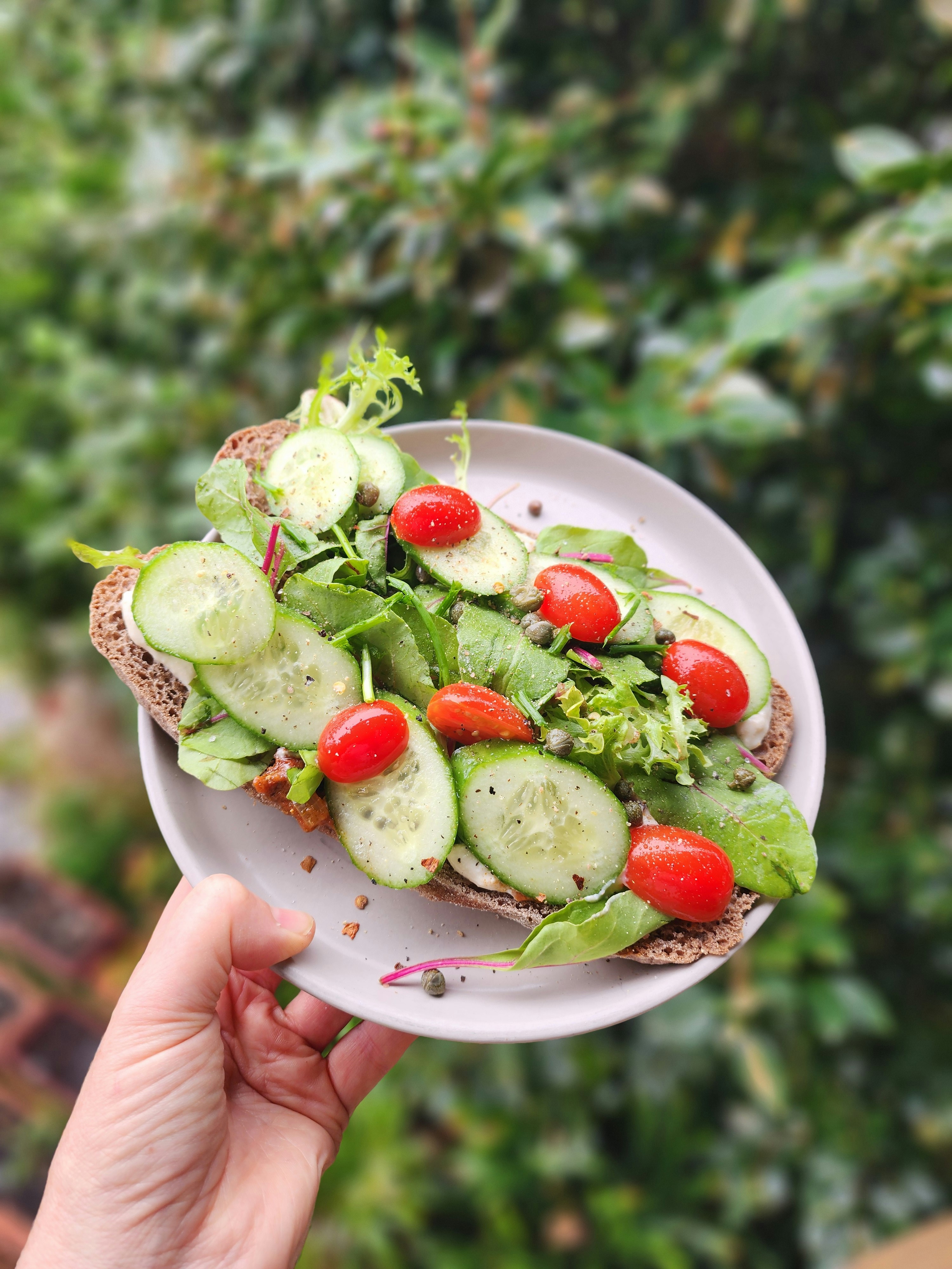 Cucumber-radish open-face sandwich held aloft above a green garden