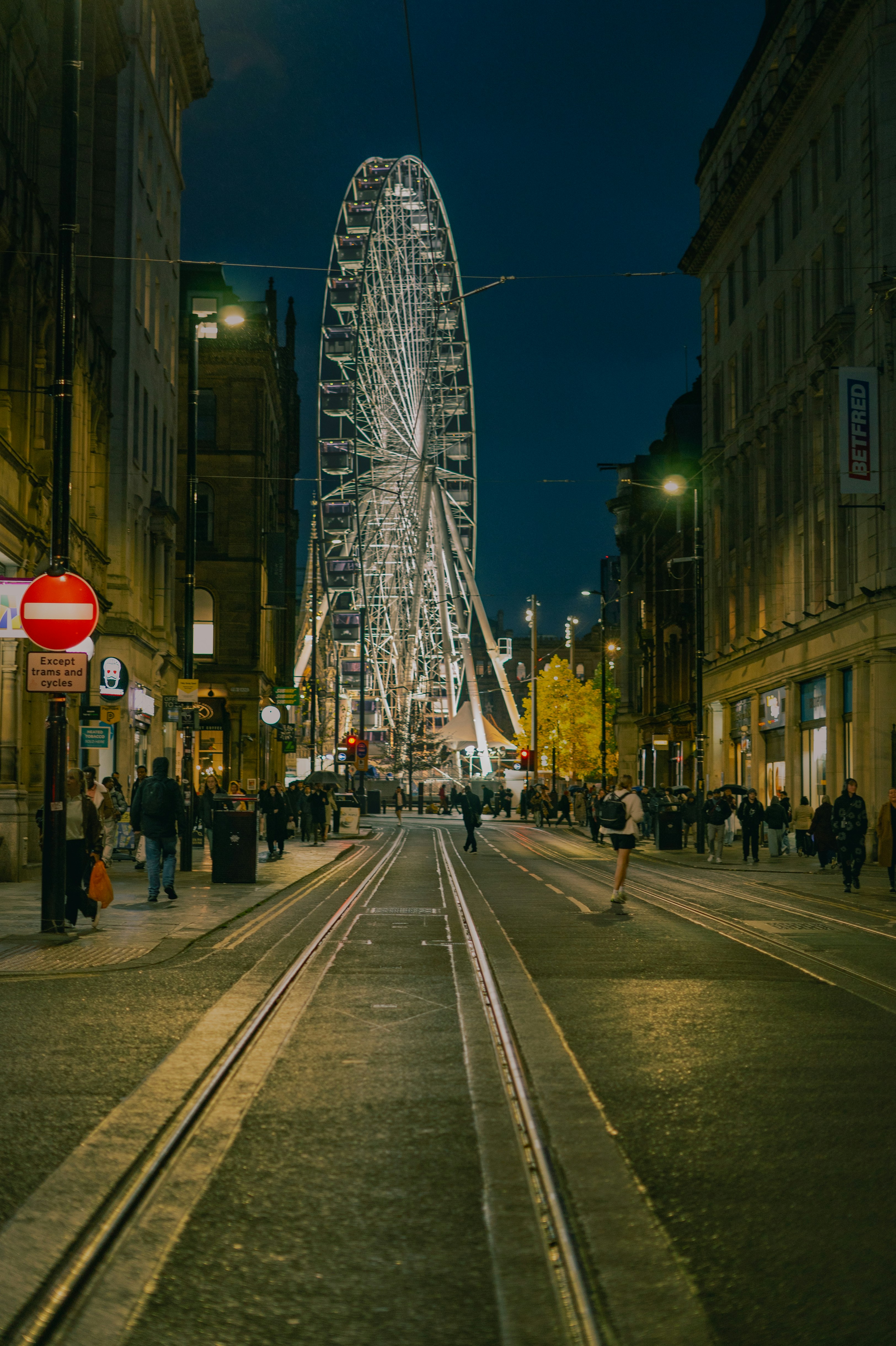 City Lights and a Ferris Wheel: Nighttime Arc in the Urban Boulevard