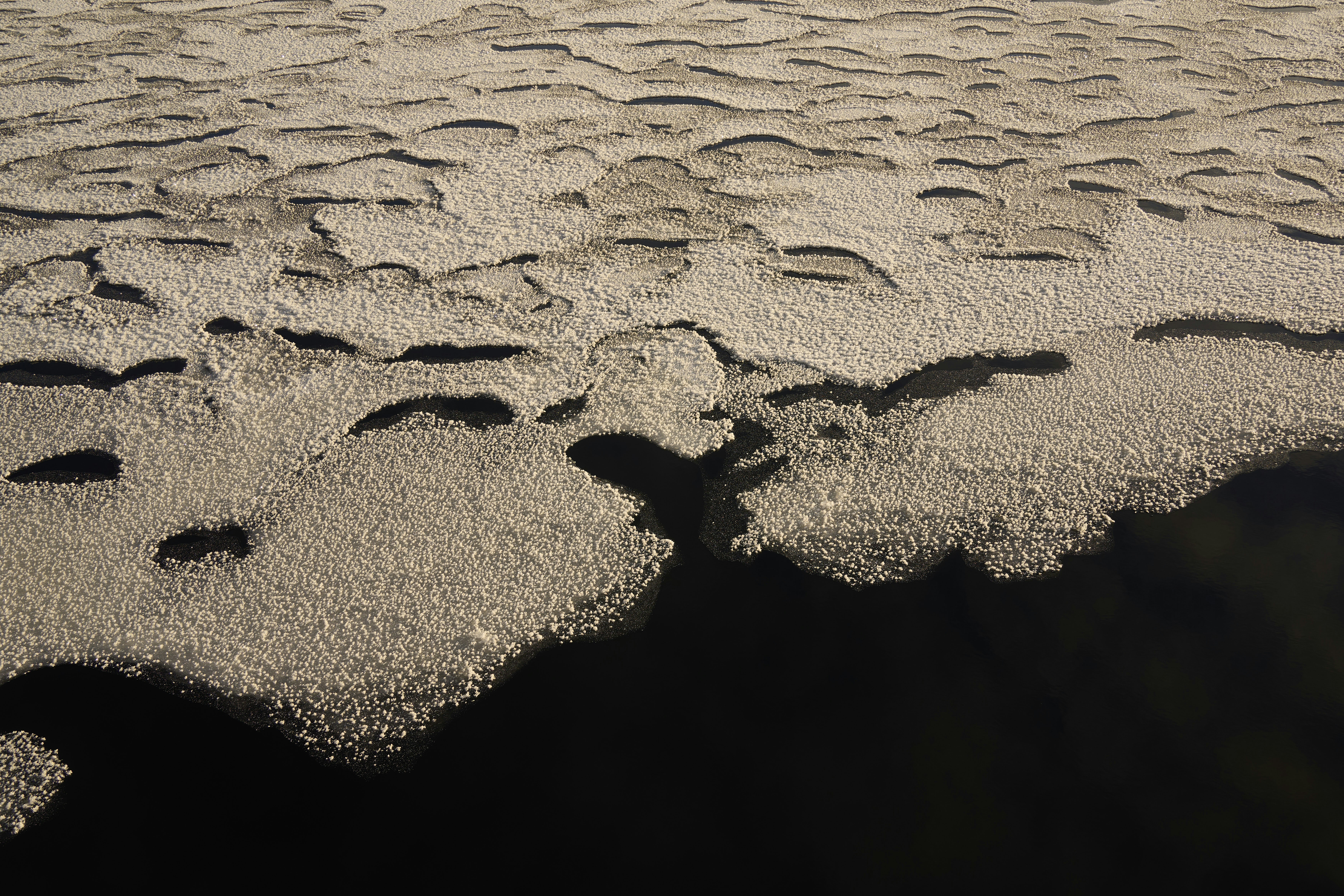 Frigid Patches: Snow-Textured Ground Carved by Shadows