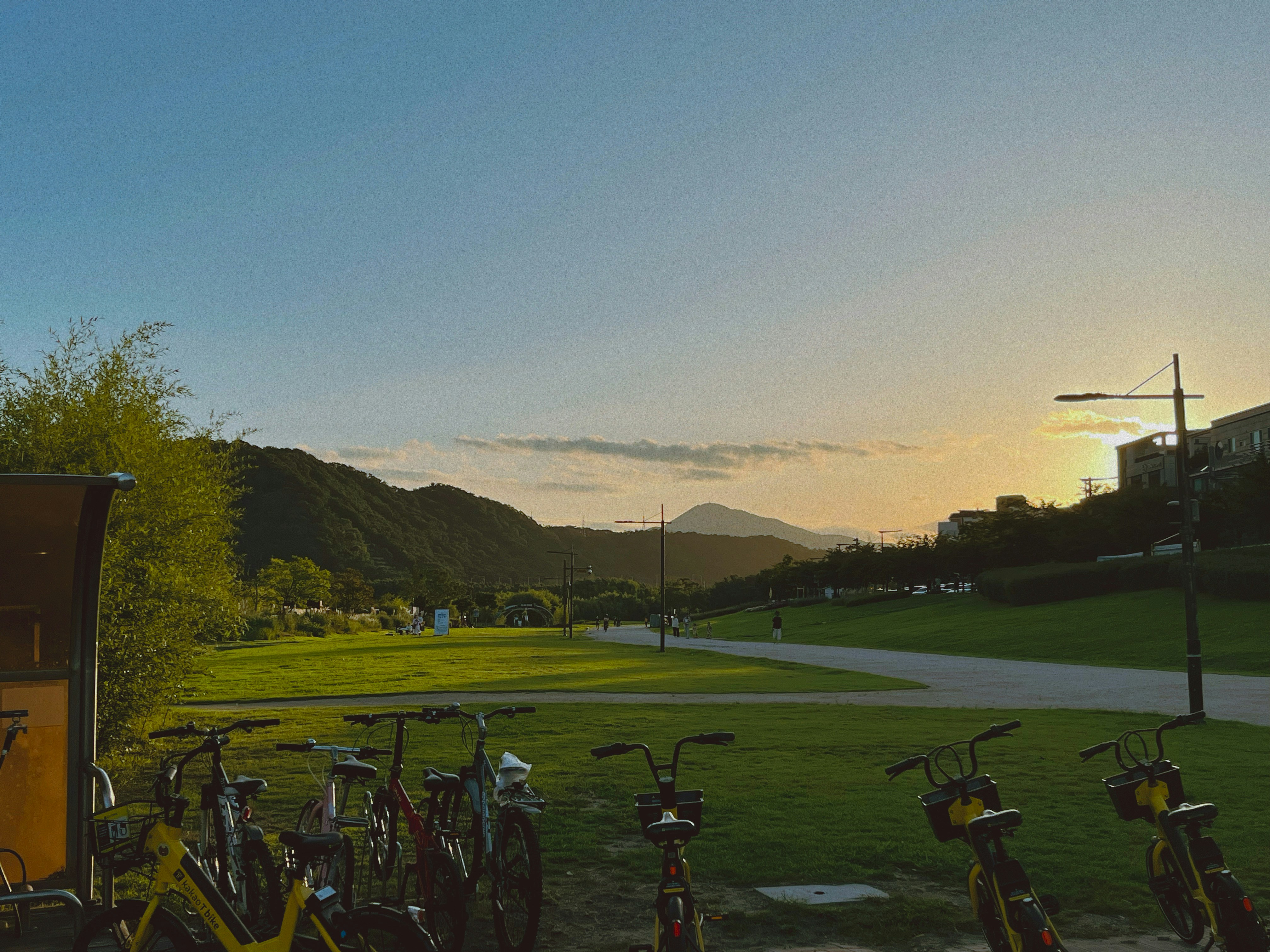 Golden Hour at the Bike Park