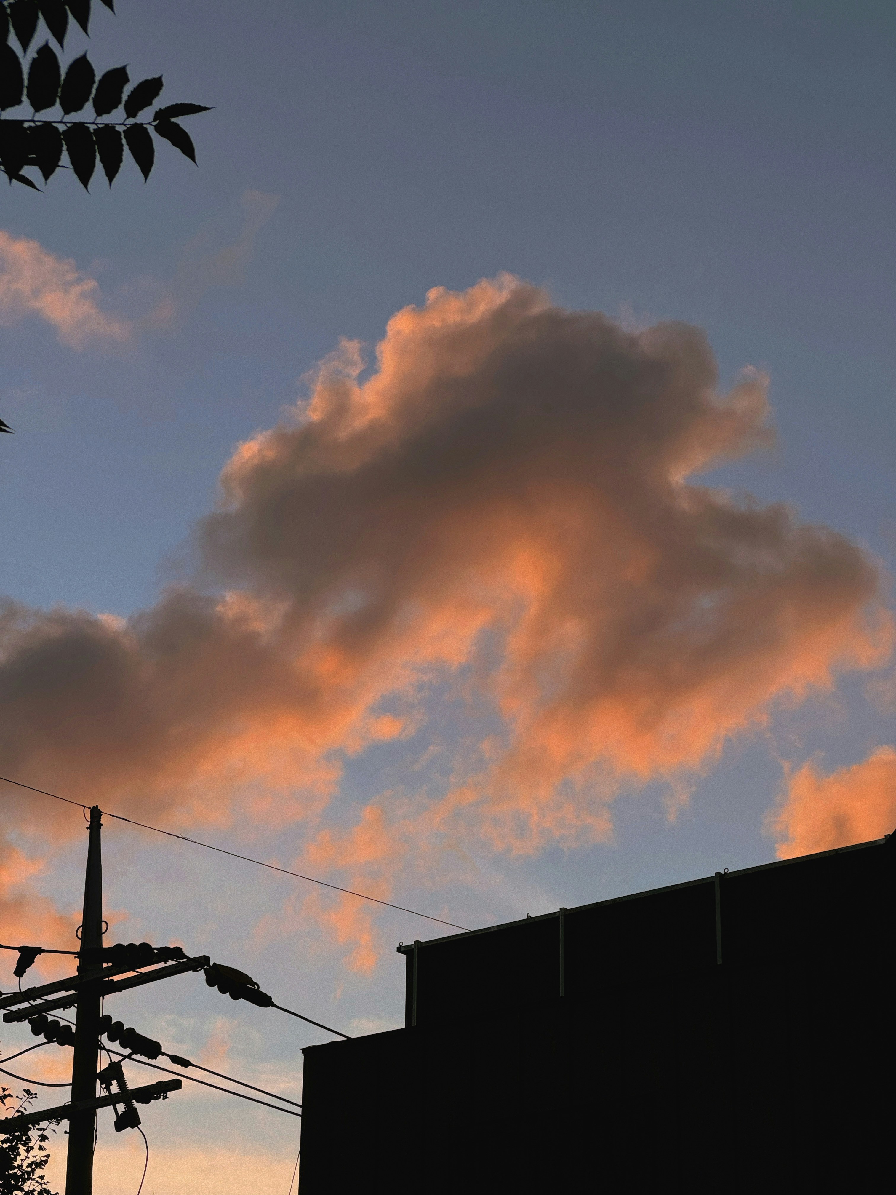 Evening Sky Crowned by a Soft Orange Cloud Over Dark Silhouettes