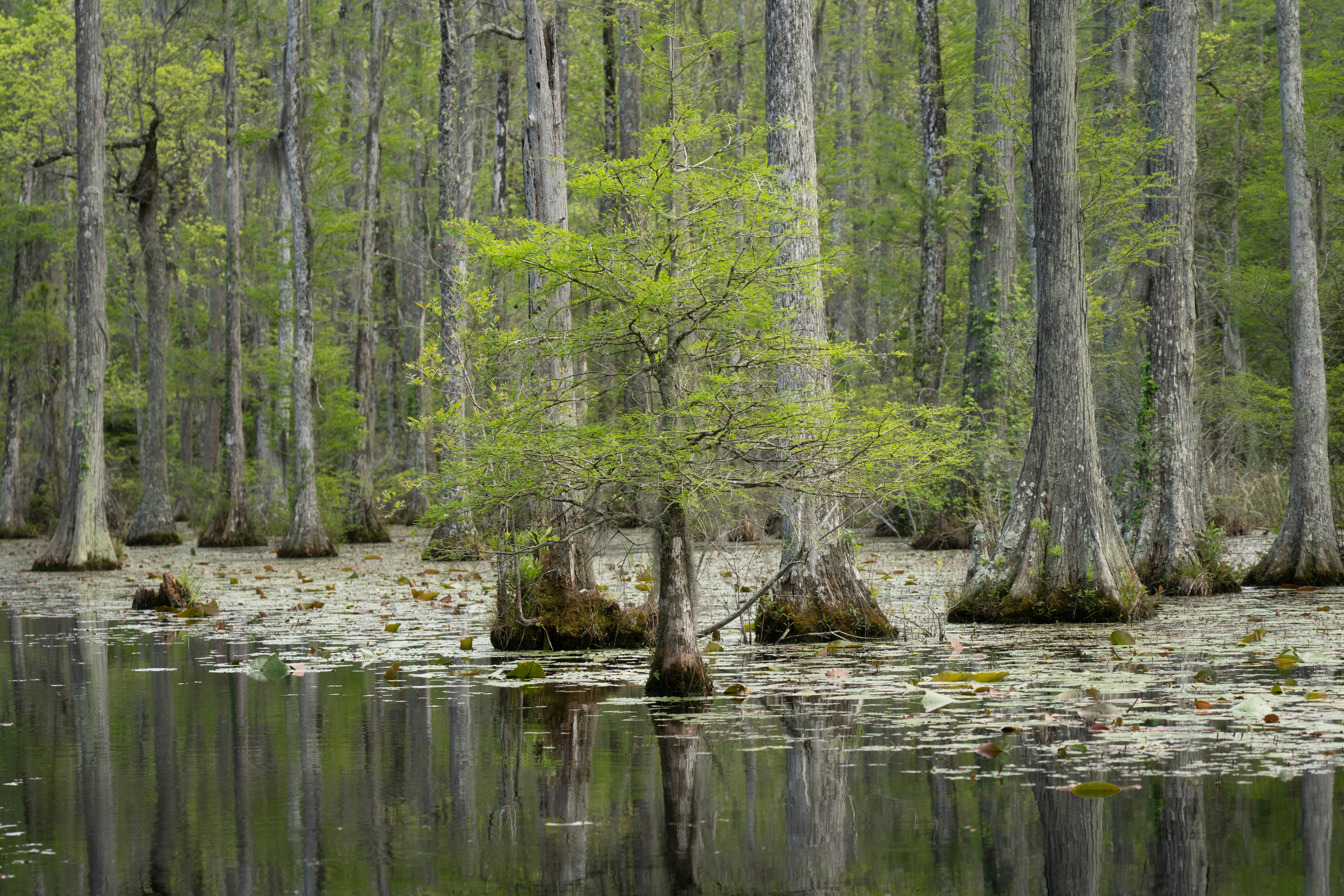 Read the story behind this photo: https://www.intricateexplorer.com/adventures/645