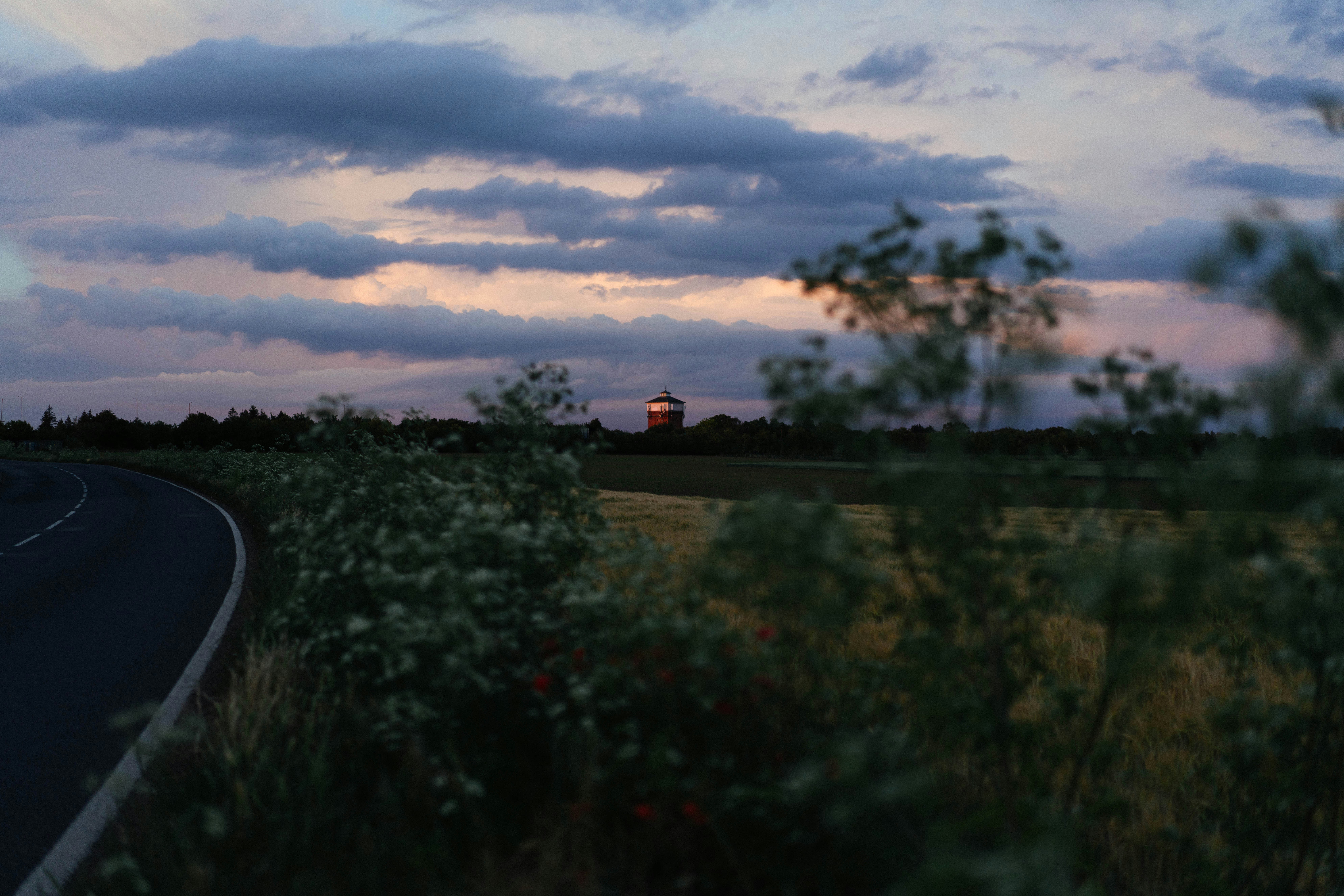 Roadside Quiet: Dusk Field and Distant Silhouette
