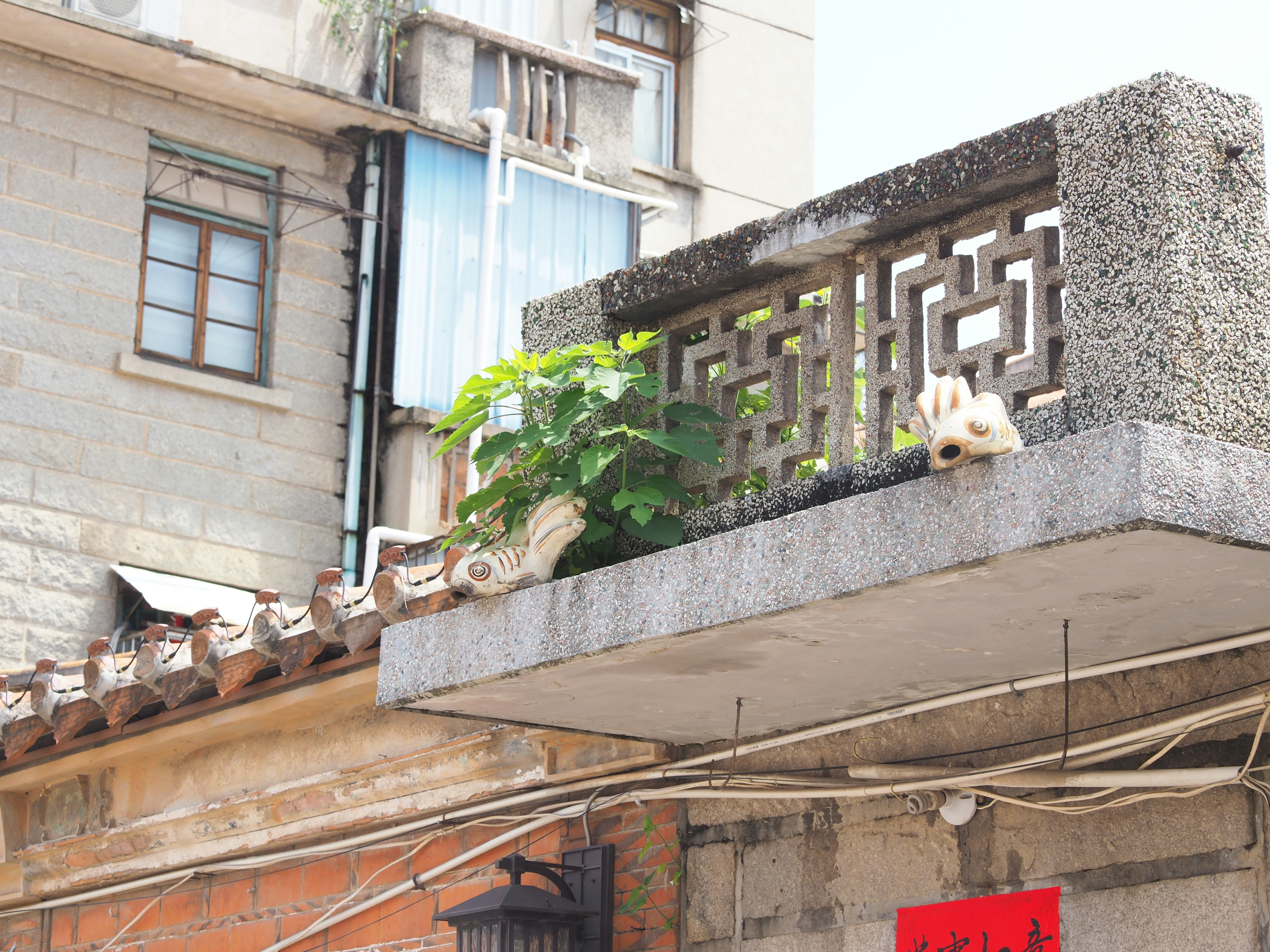 Cat on Concrete Balcony: A Quiet Urban Cantilever