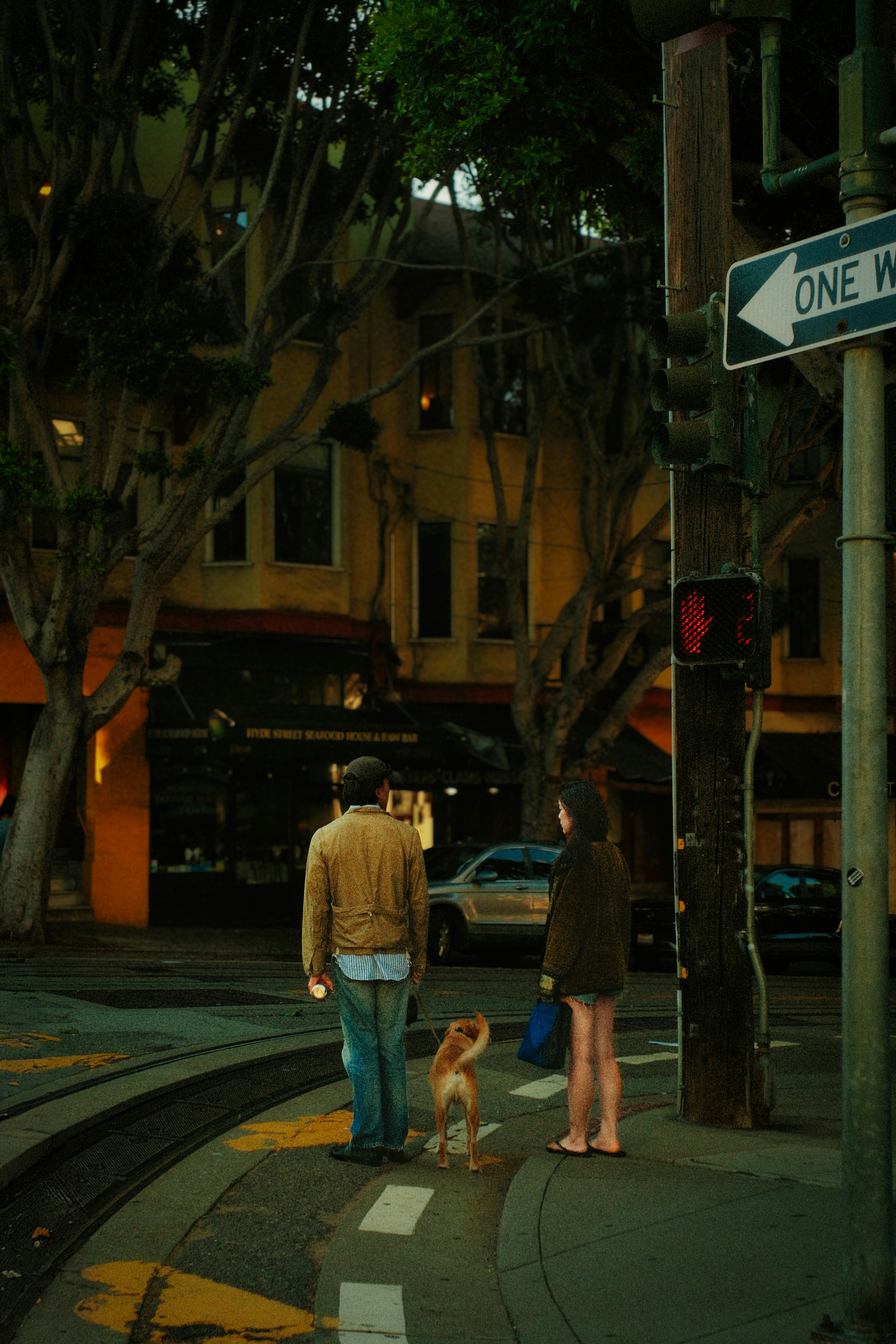 Crosswalk Convergence: Strangers, Dog, and Distant Lights