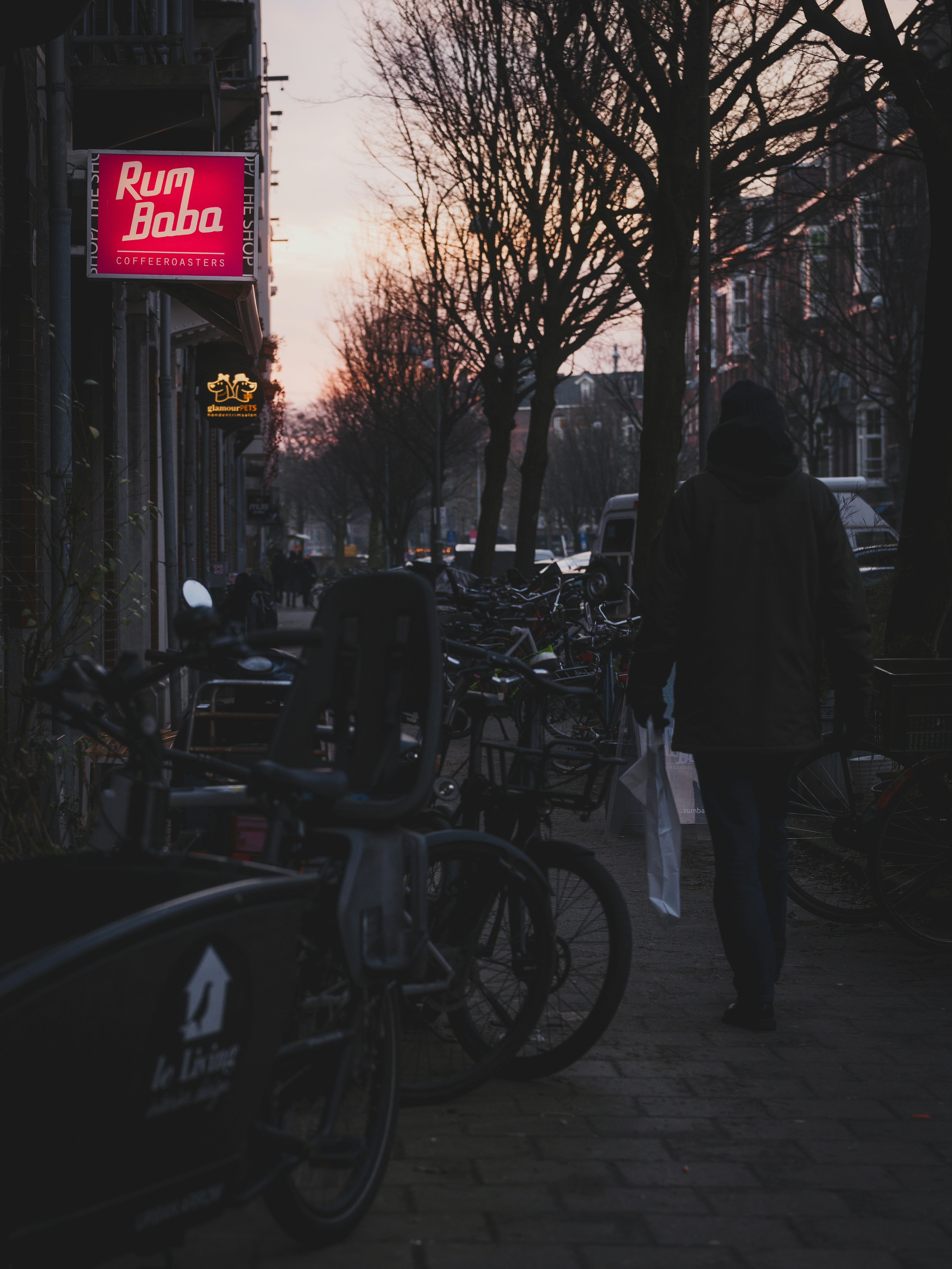 Evening Quiet Along the Bicycle Alley
