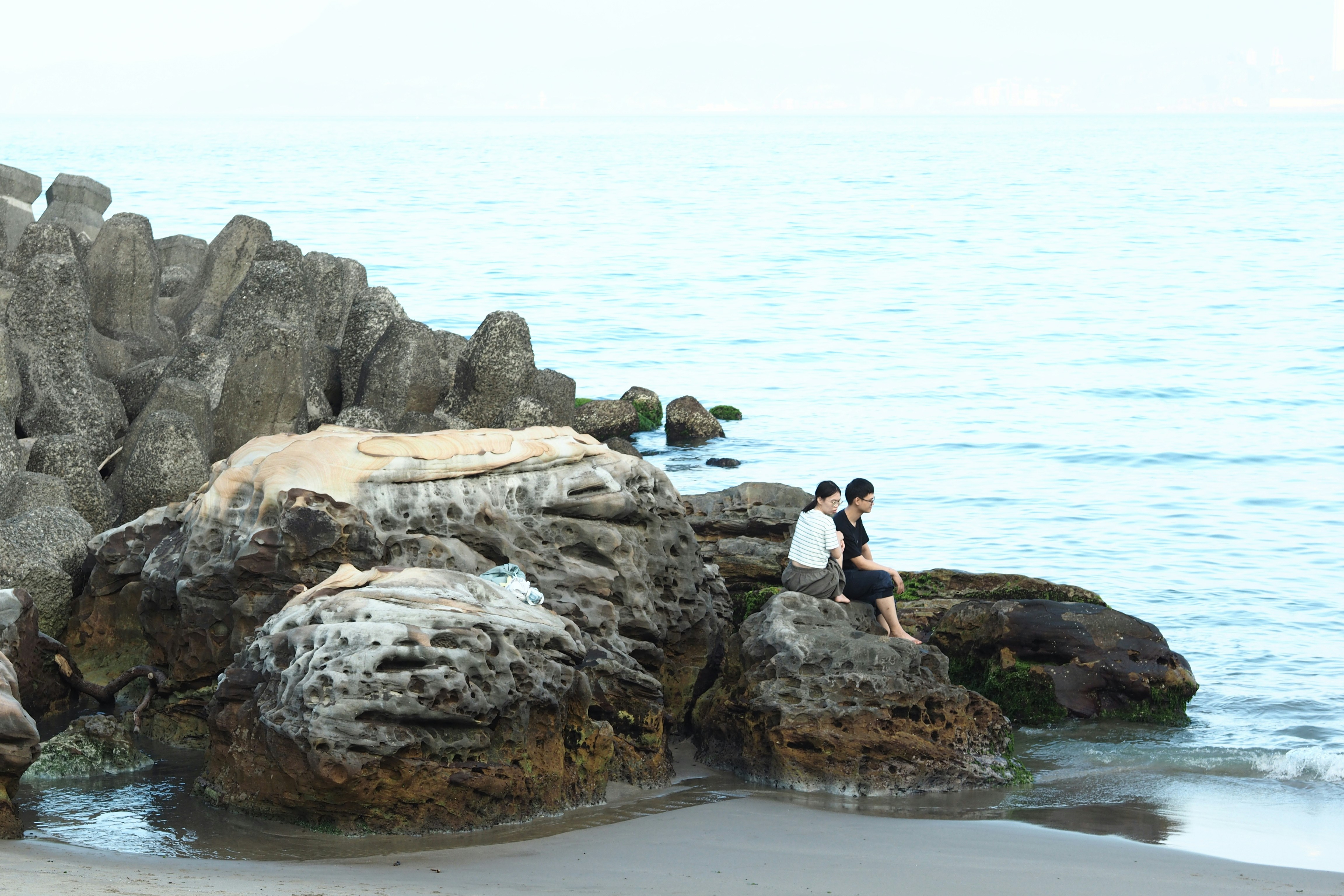 Two Friends on the Tide-Washed Rock, Quiet Coastal Moment