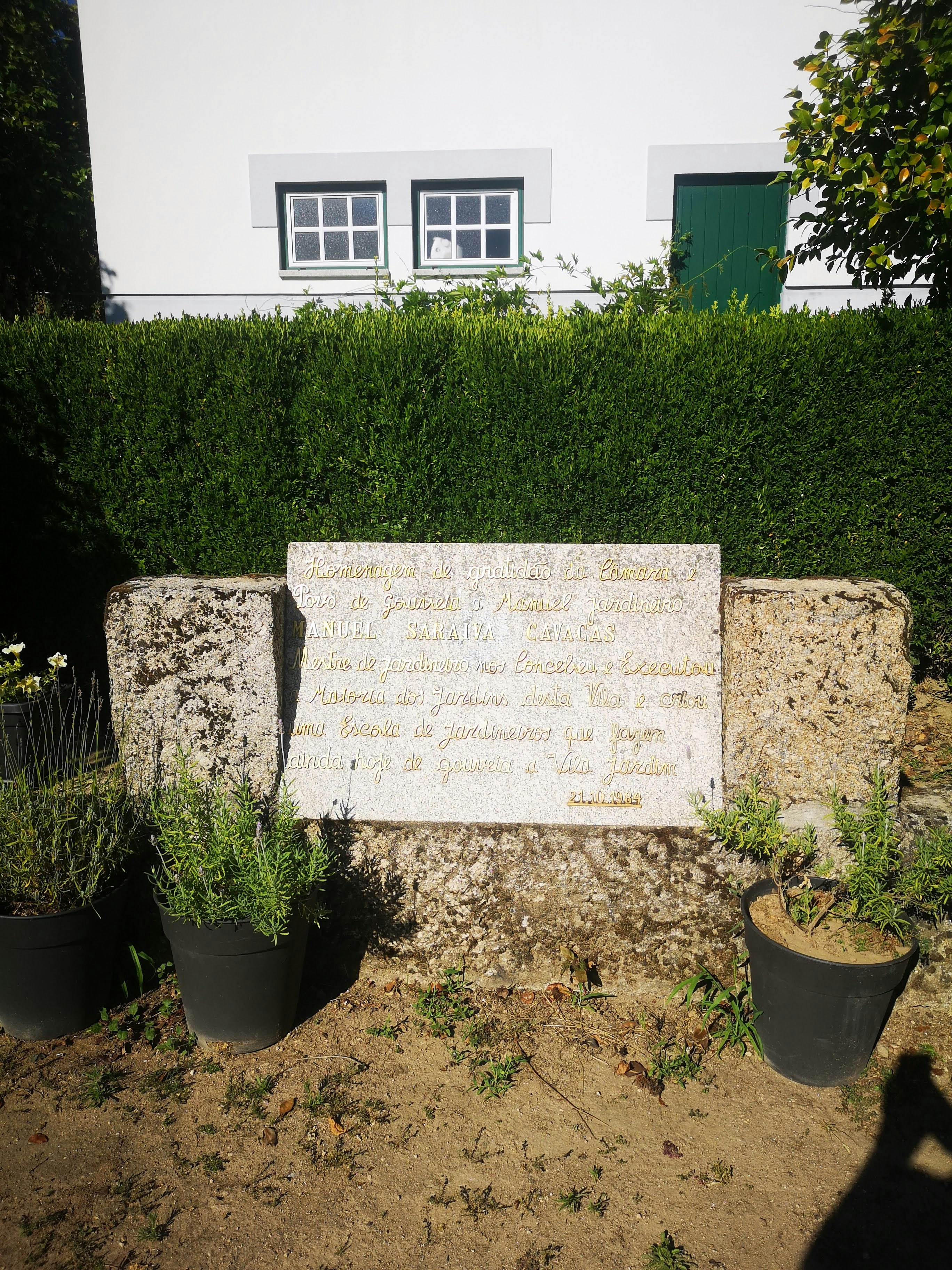 Stone Plaque Amid Tall Hedge and Potted Plants
