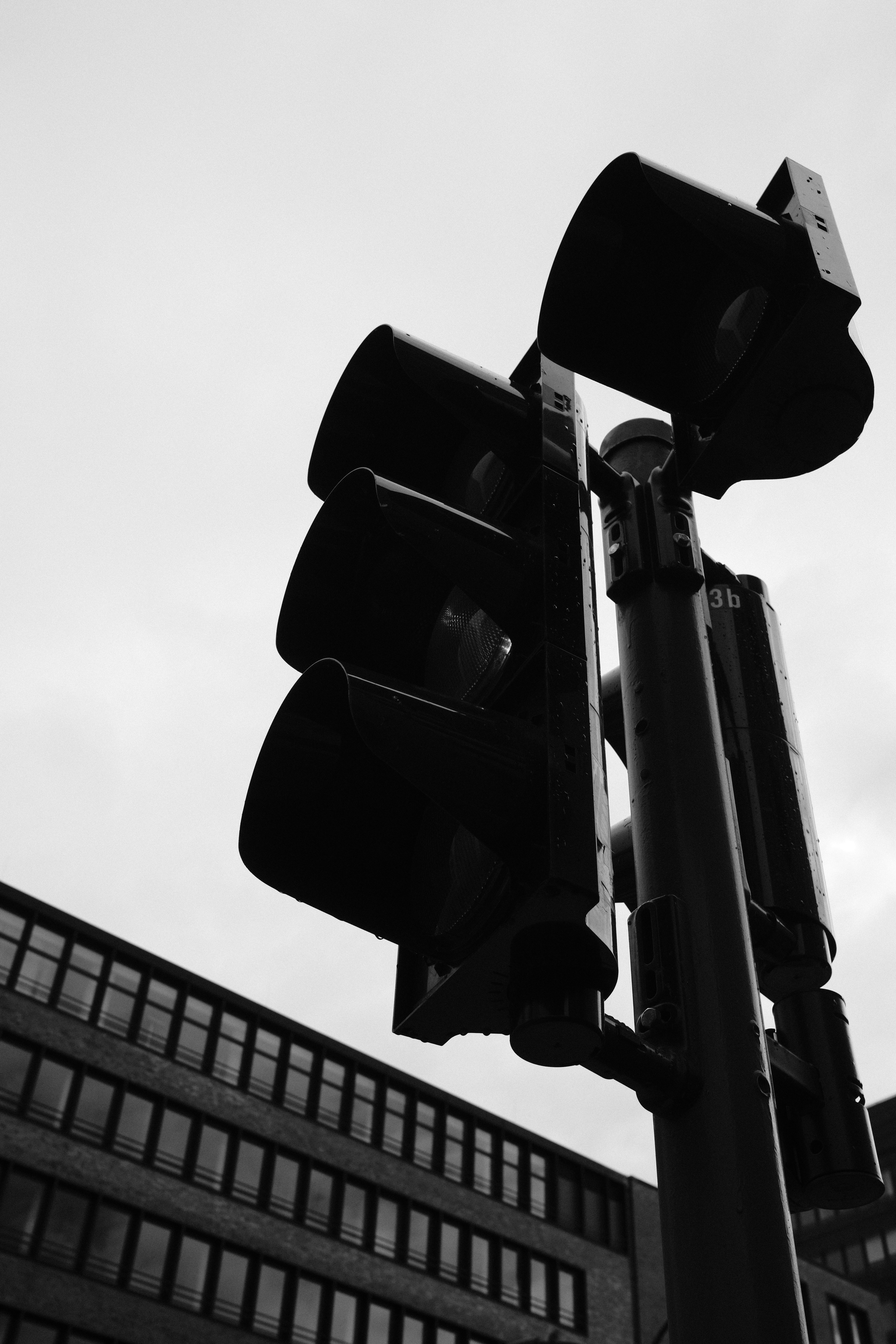 Urban Signal: A Black-and-White Streetlight Rising Against the Sky