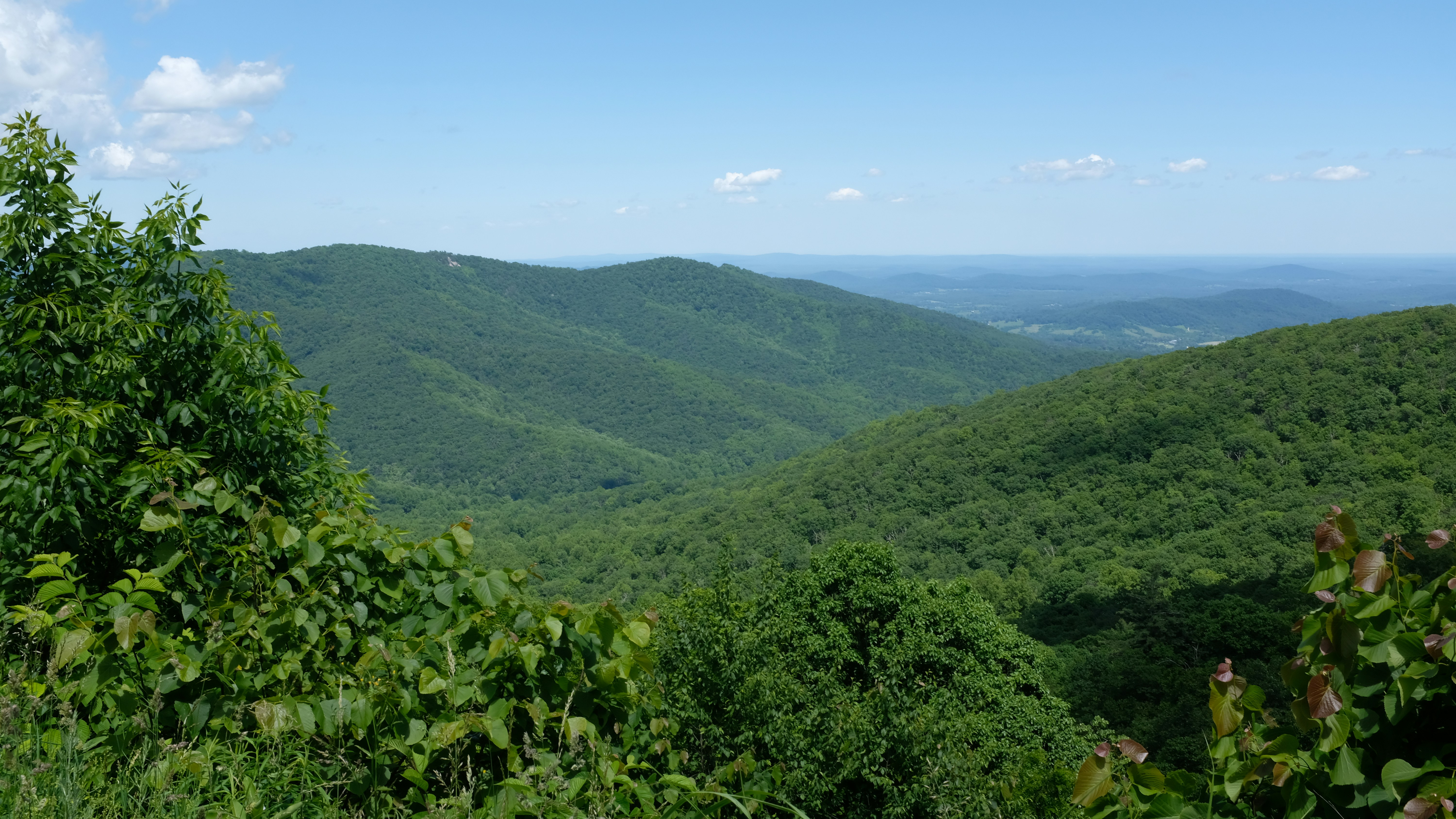  Verdant Ridge: A Quiet Sweep Across the Blue Horizon