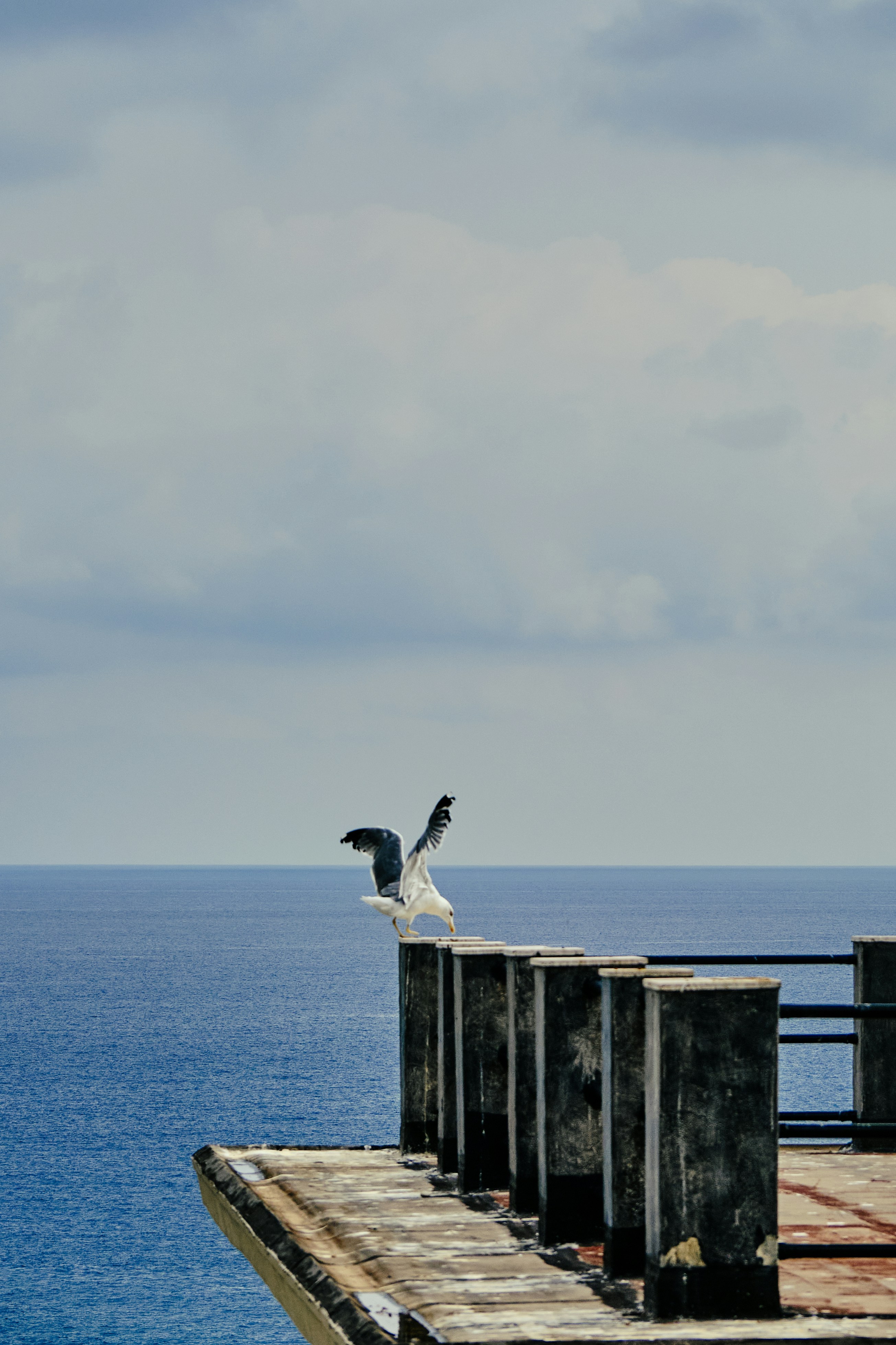 Seagull Landing at the Pier: A Quiet Moment Over the Open Sea