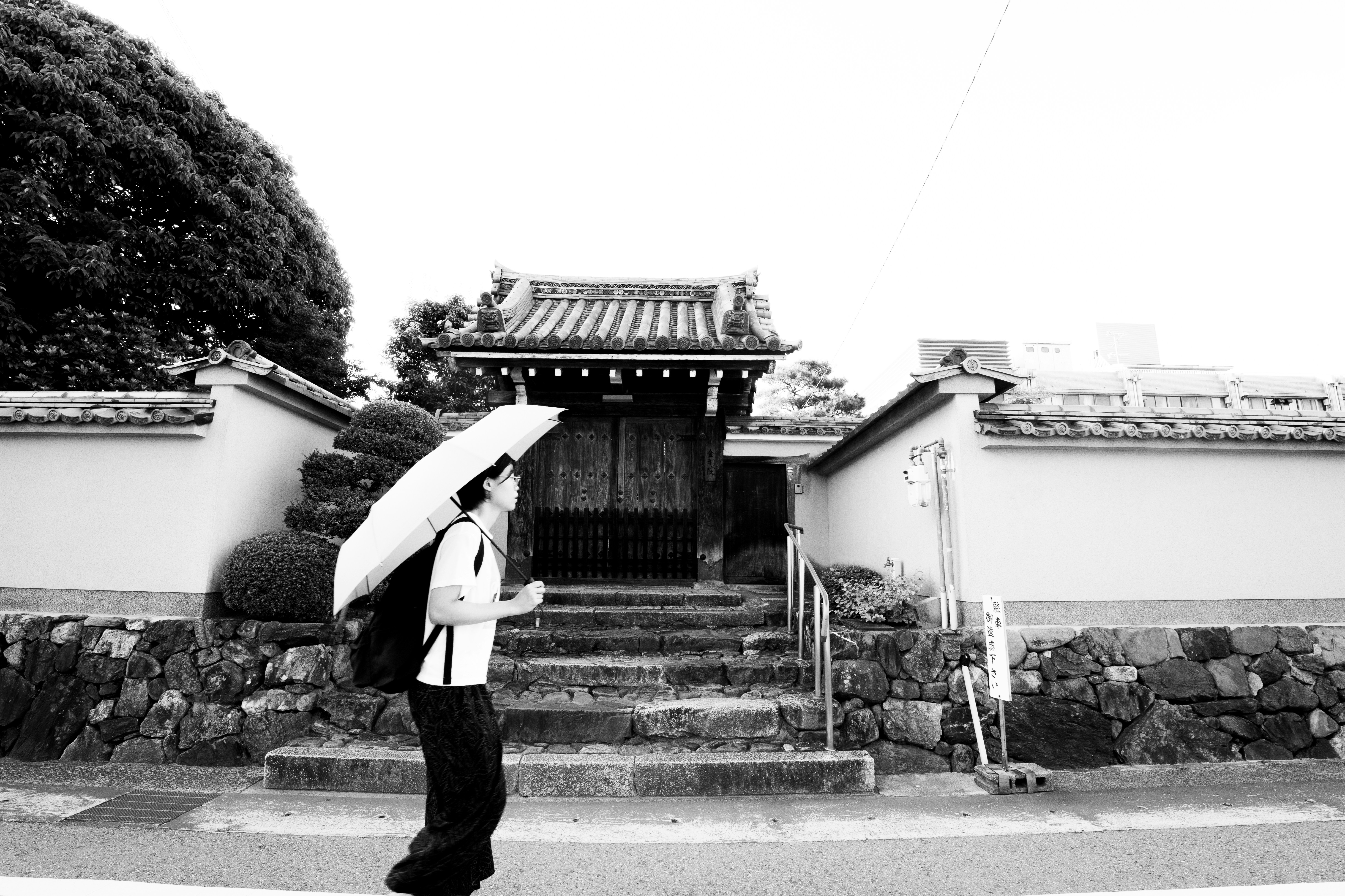 Umbrellaed Passage: A Quiet Walk to the Gate