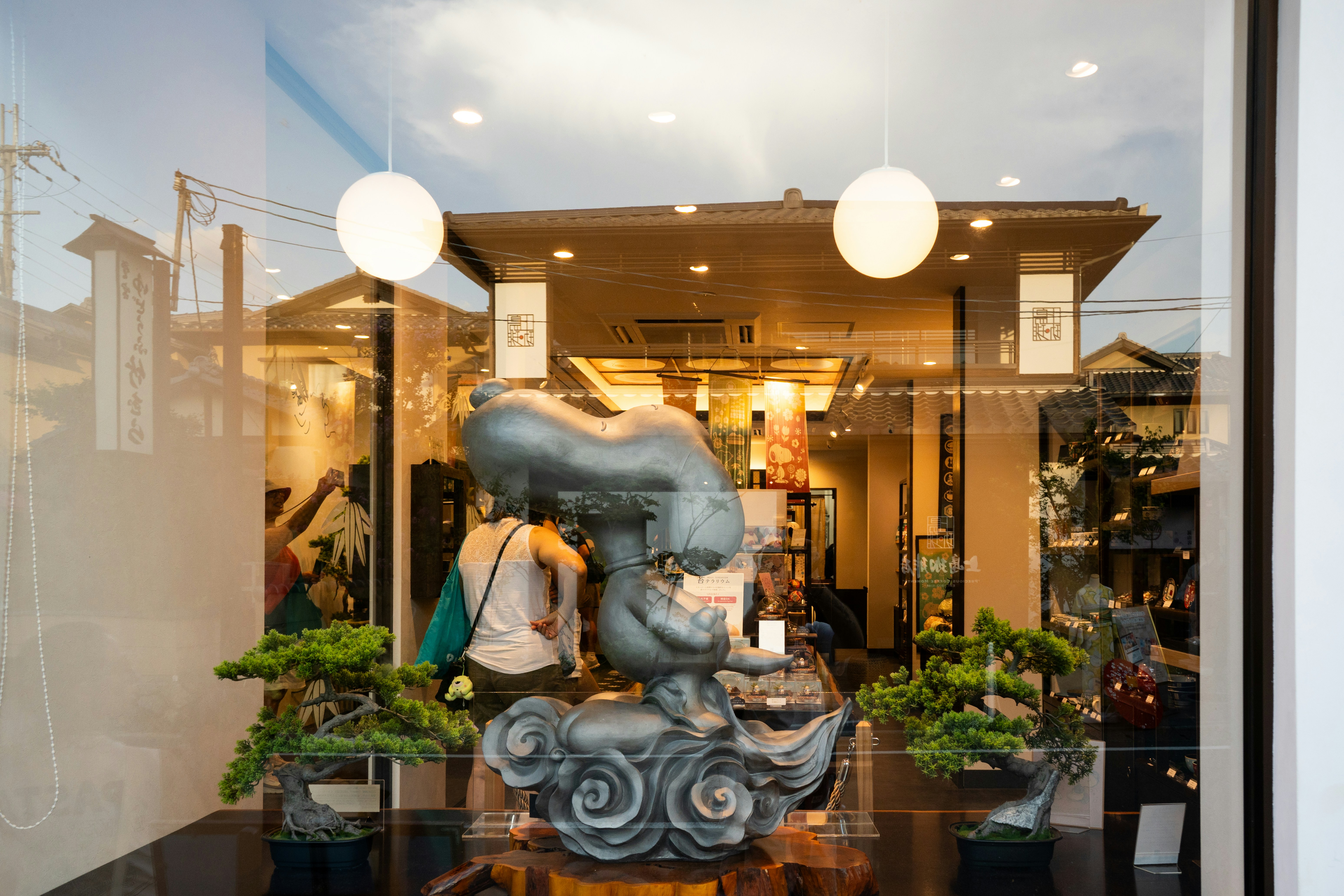 Silhouette of a Shop Display: A Distant Portrait Freshly Framed