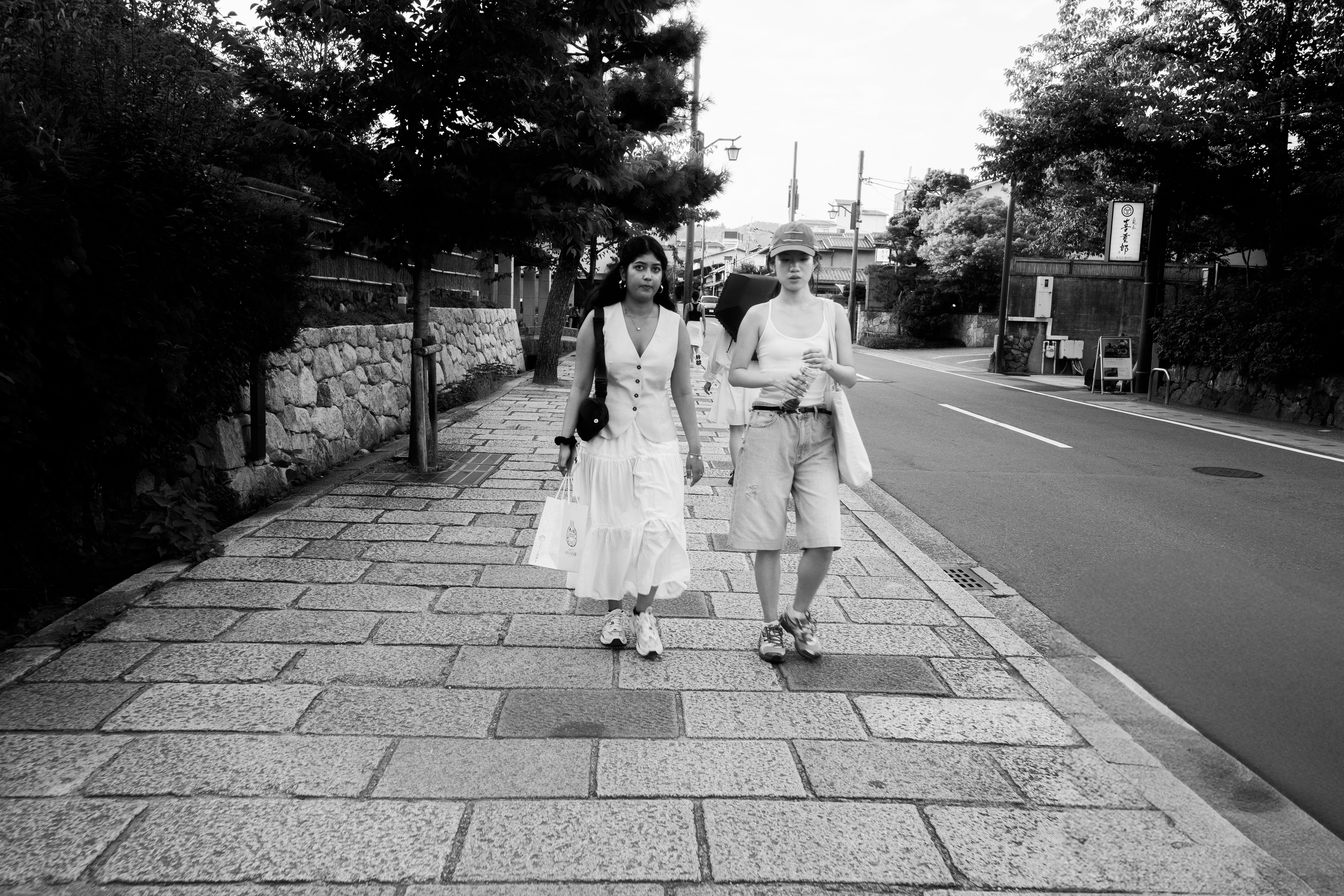 Two Walkers on a Quiet Street: A Timeless Duo