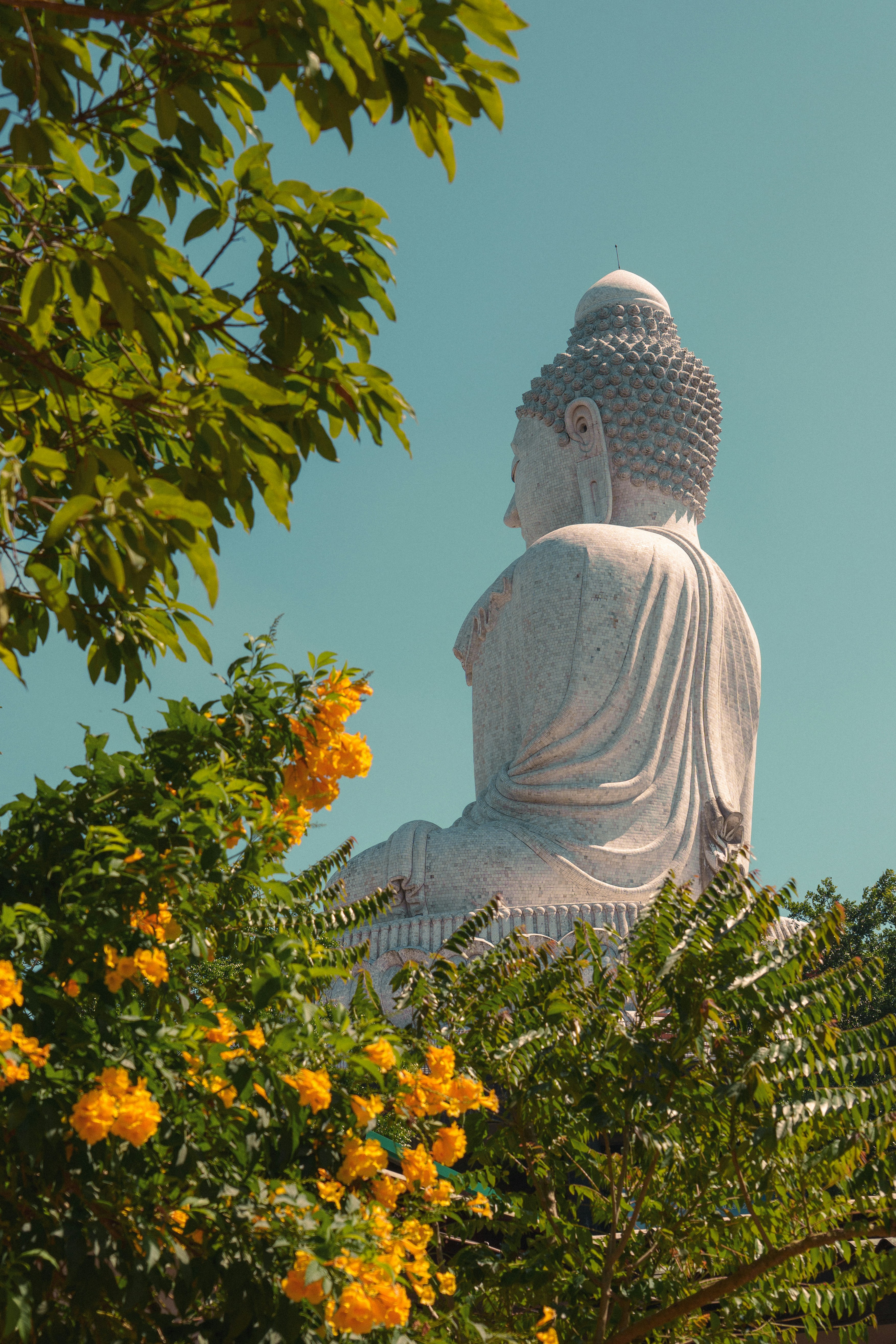 The Big Buddha statue framed by tropical flowers and trees in Phuket, Thailand. Shot on a bright day with a warm, nostalgic filmic edit.