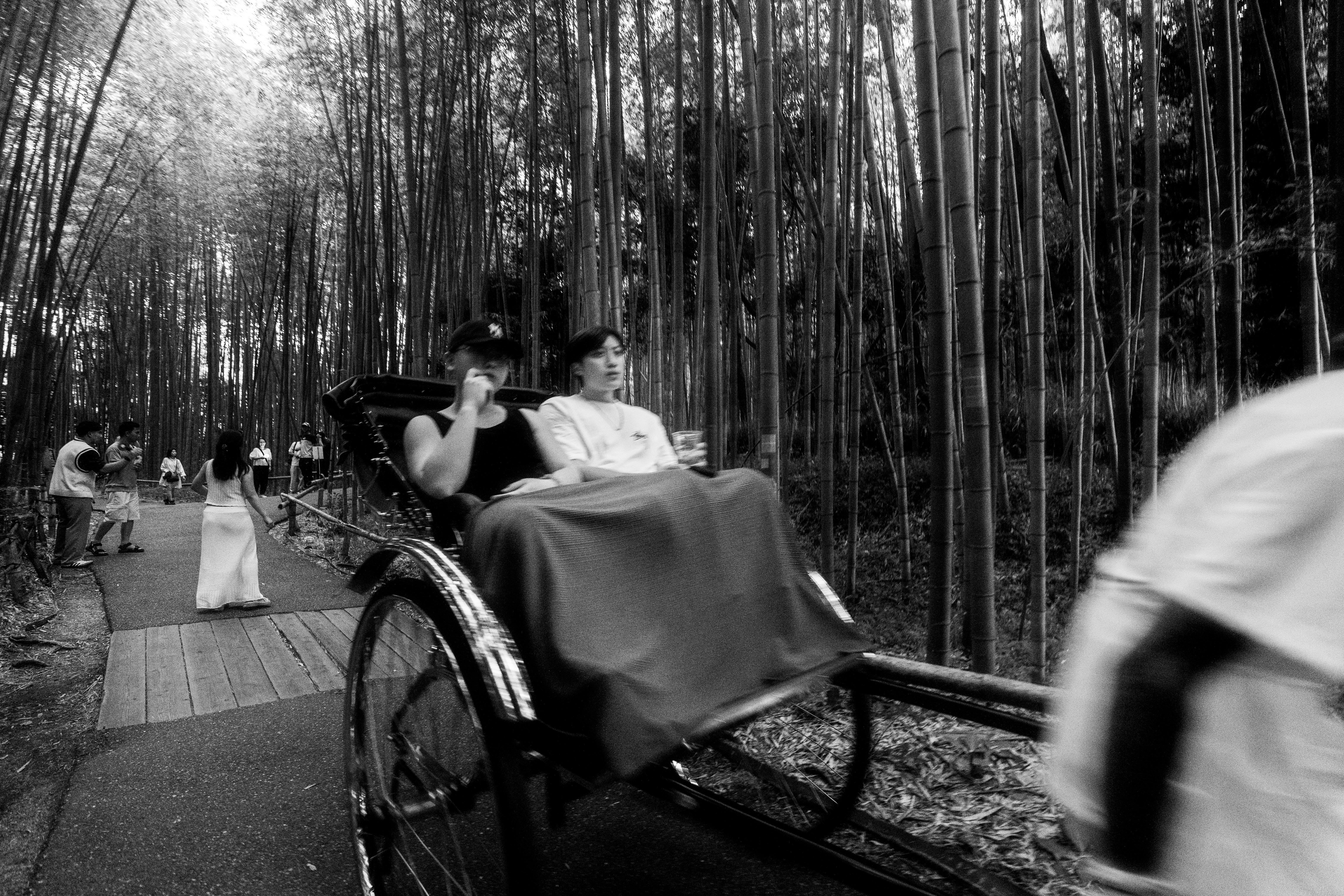 Cartwheel Lane: a rickshaw ride through a shaded bamboo avenue