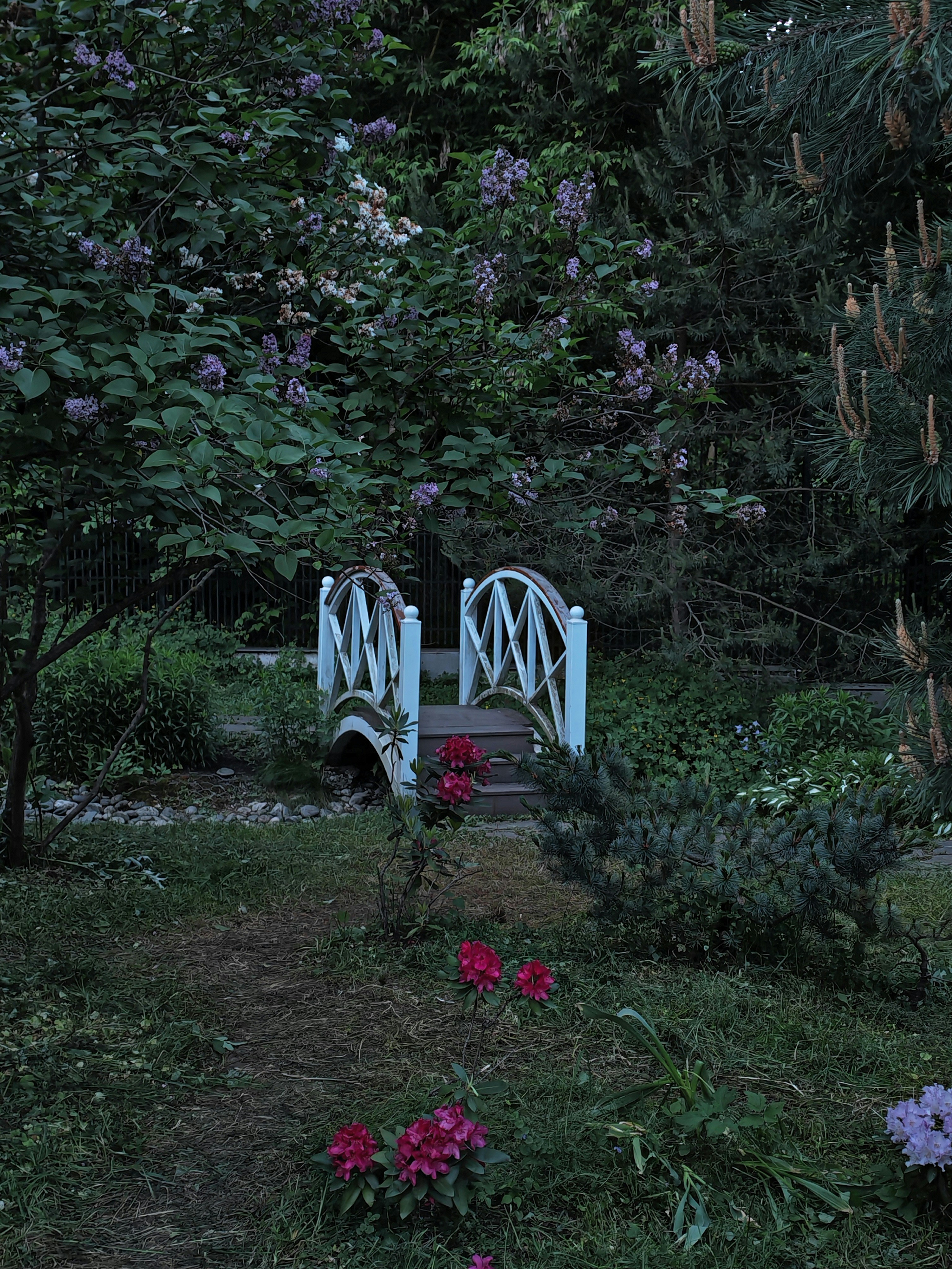 A serene garden scene with a white arched bridge nestled among lush greenery and blooming flowers, creating a tranquil focal point in the shade. This is a photograph of a garden landscape.