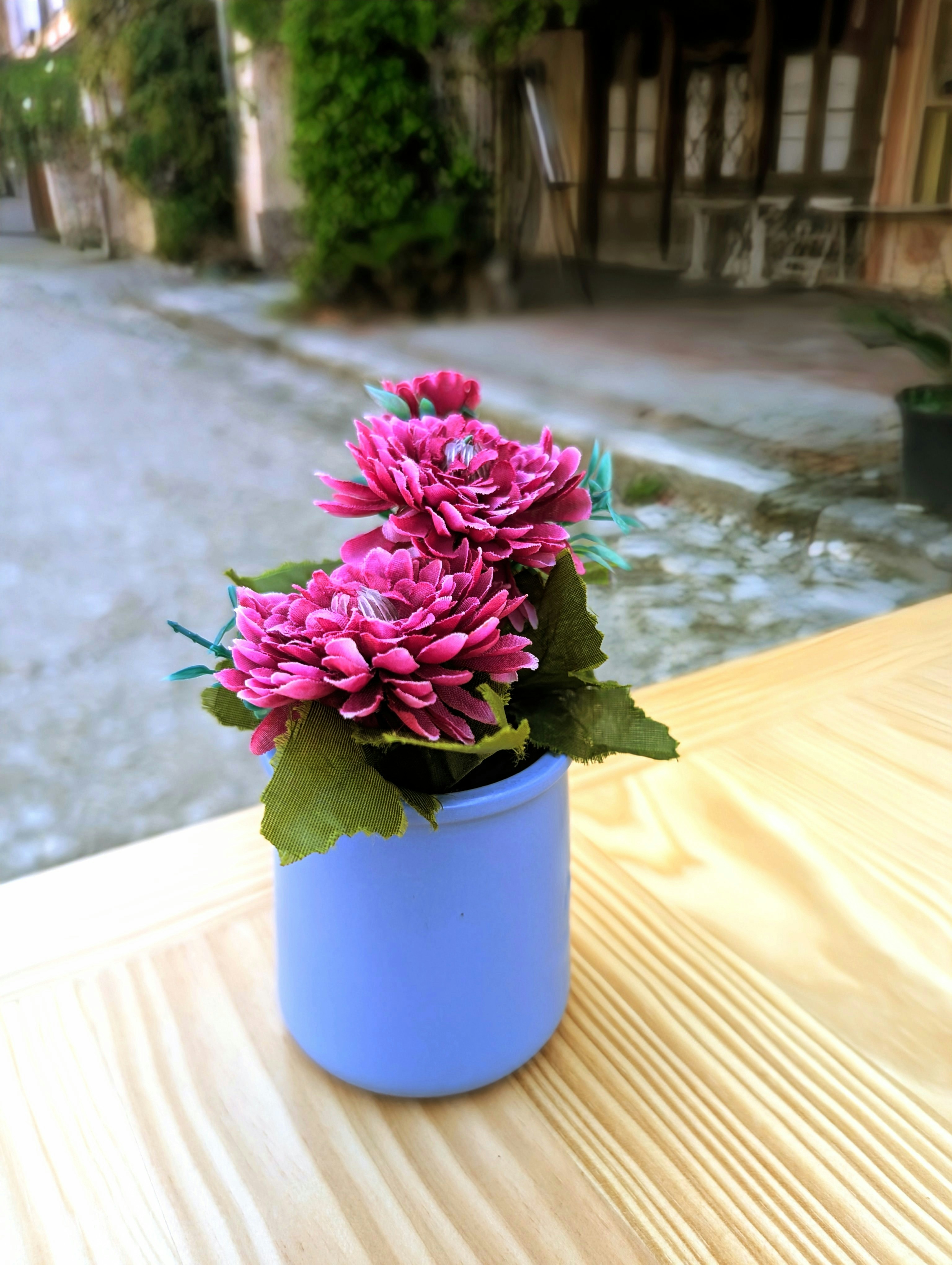 Pink Chrysanthemum in a Blue Vase on a Wooden Table