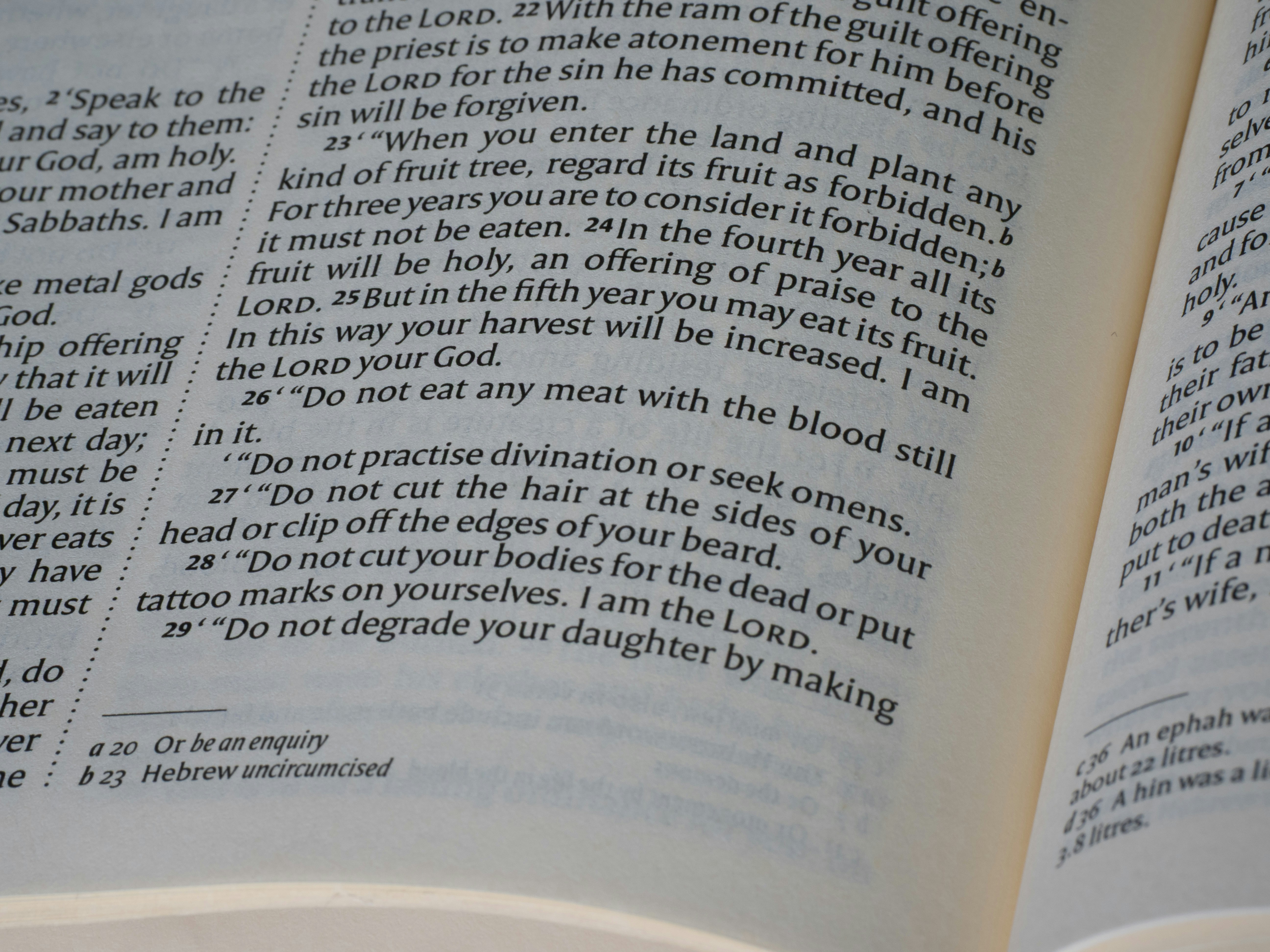 Close-Quarters Scripture: A Page in Focus