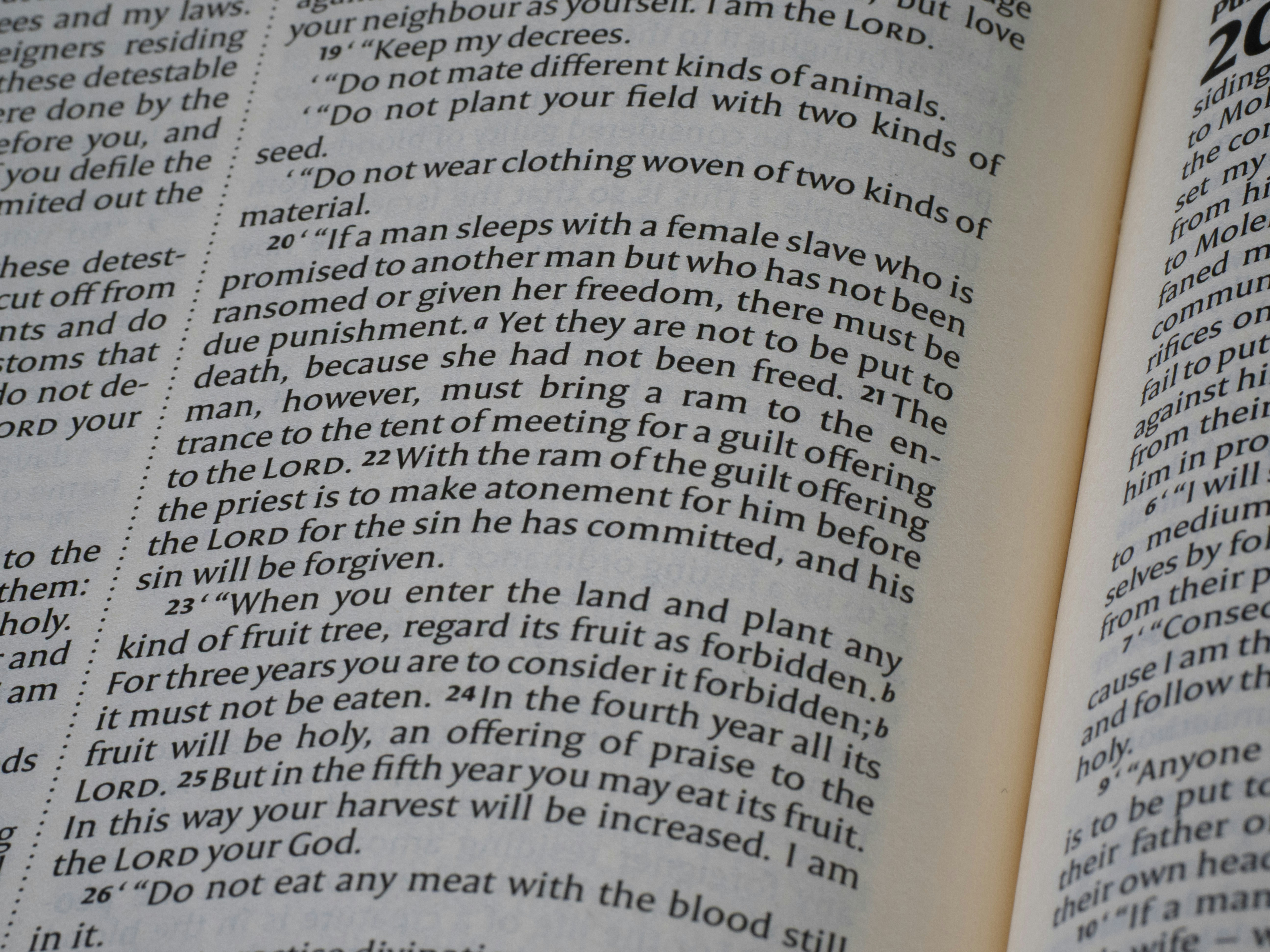 Close-up of a printed page: dense serif text with a curving crease and soft focus edges