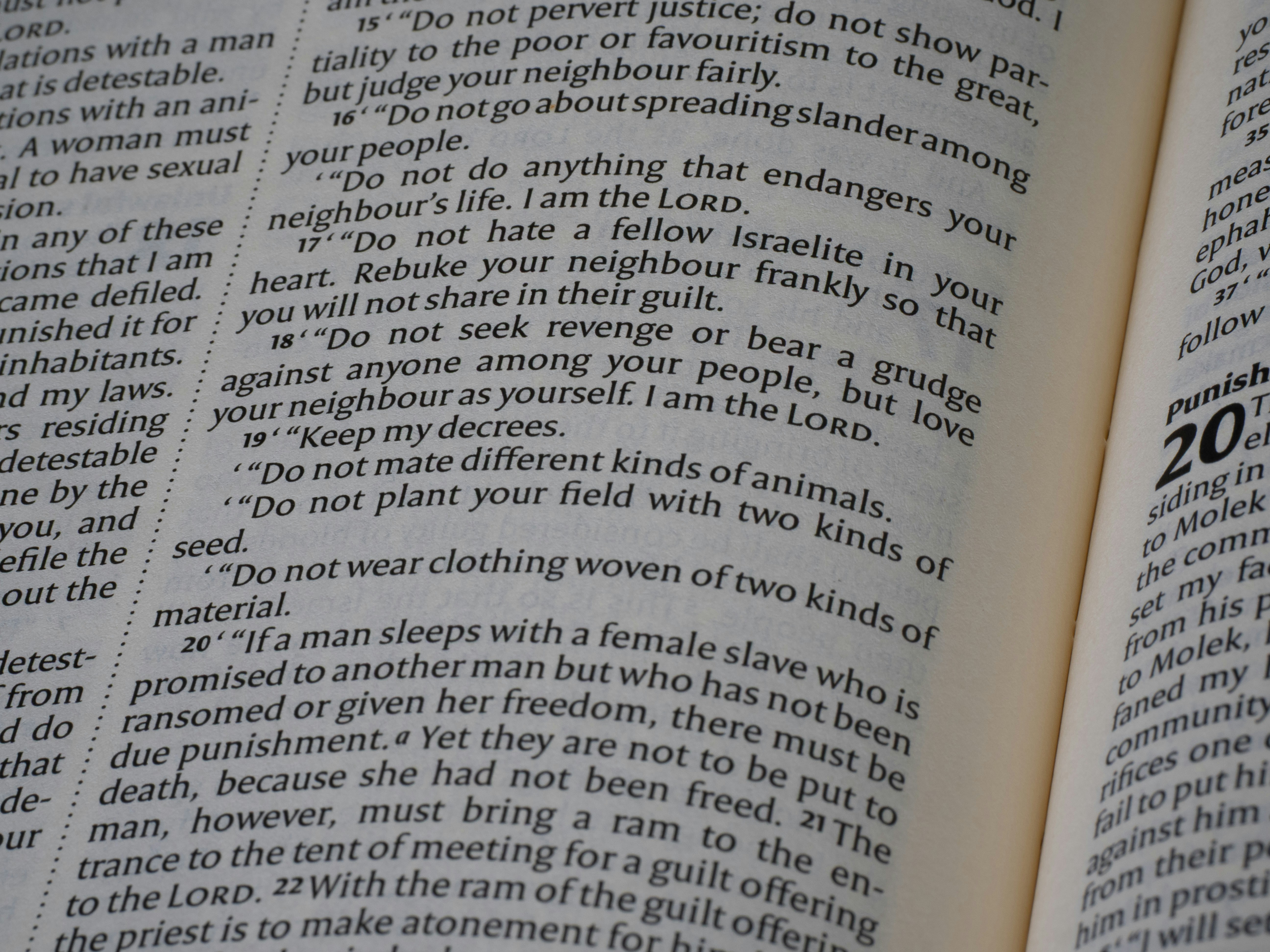 Printed Wisdom: A Close-Up of Scripture Varying in Density