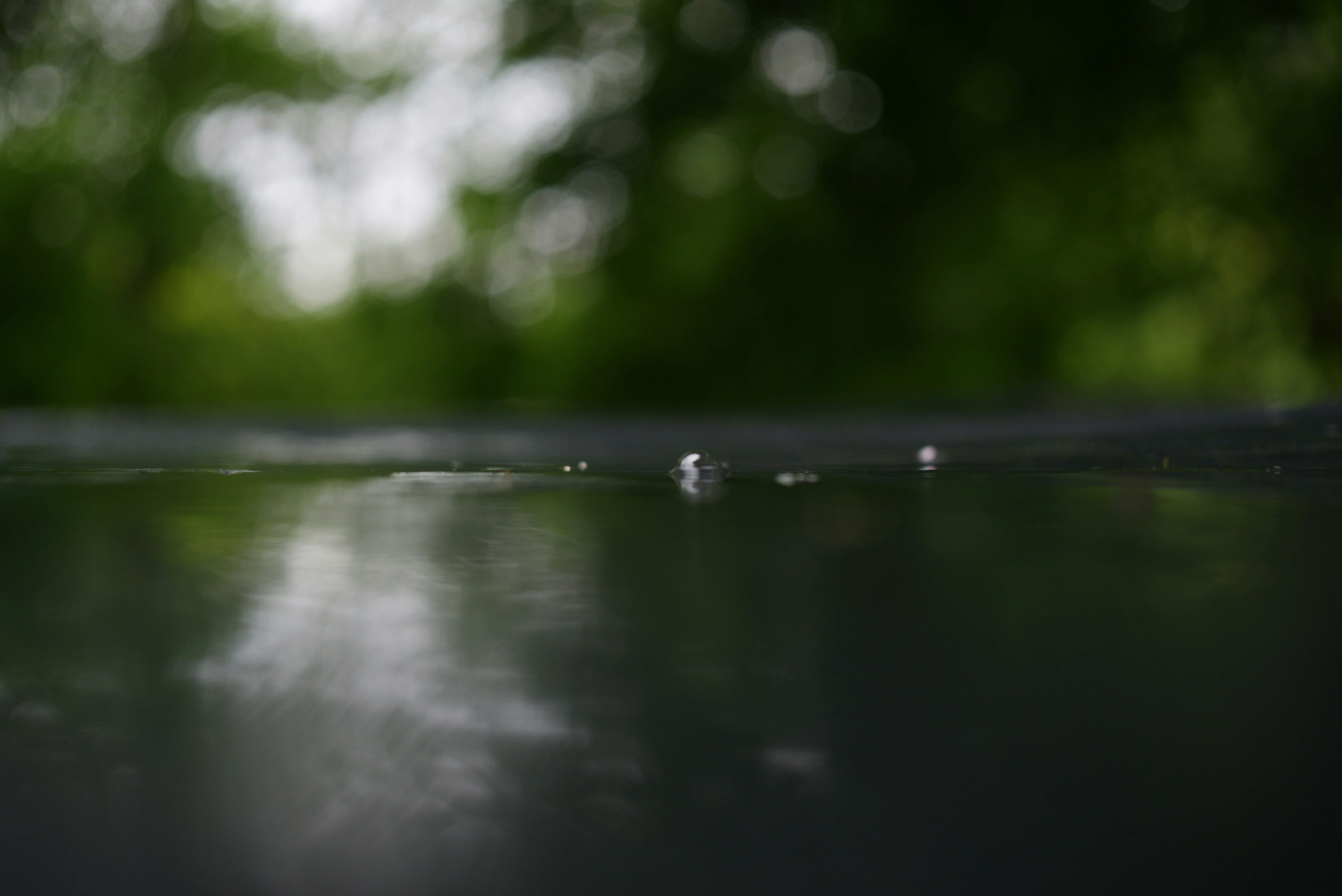 Ripple at the Surface: A Quiet Moment Above the Waterline