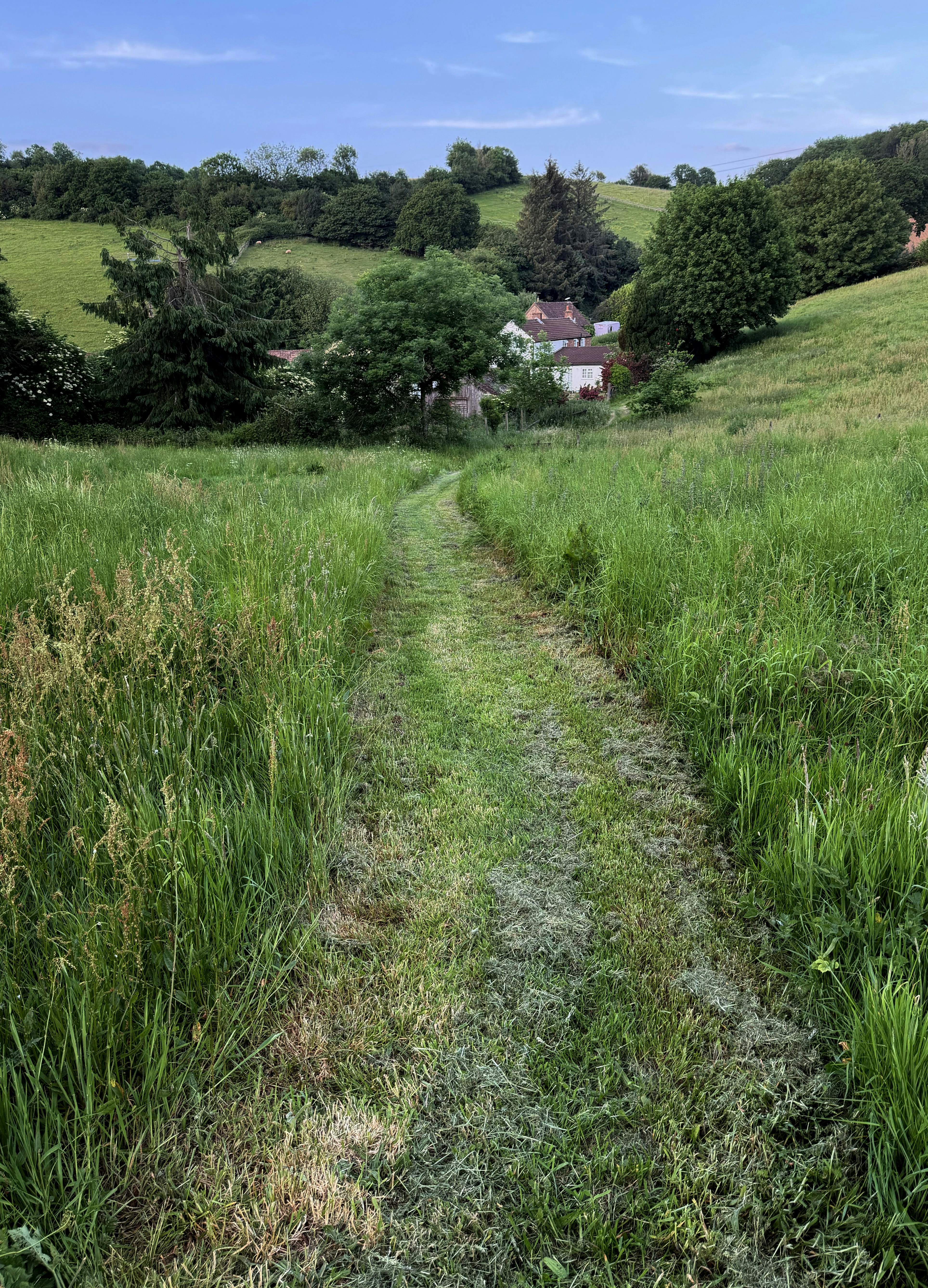 A country path through green fields towards a house.
