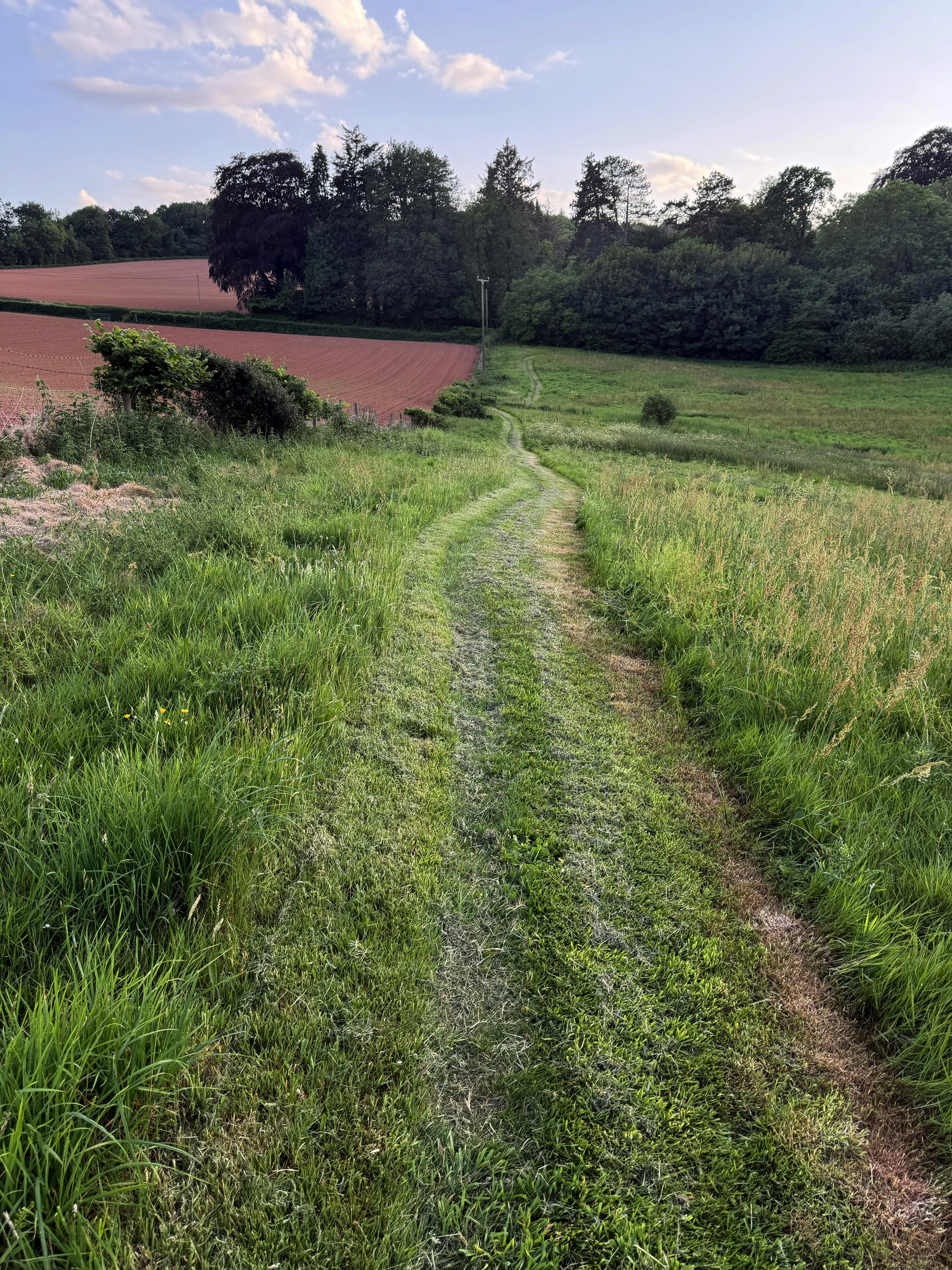 A winding grassy path between fields and distant trees.