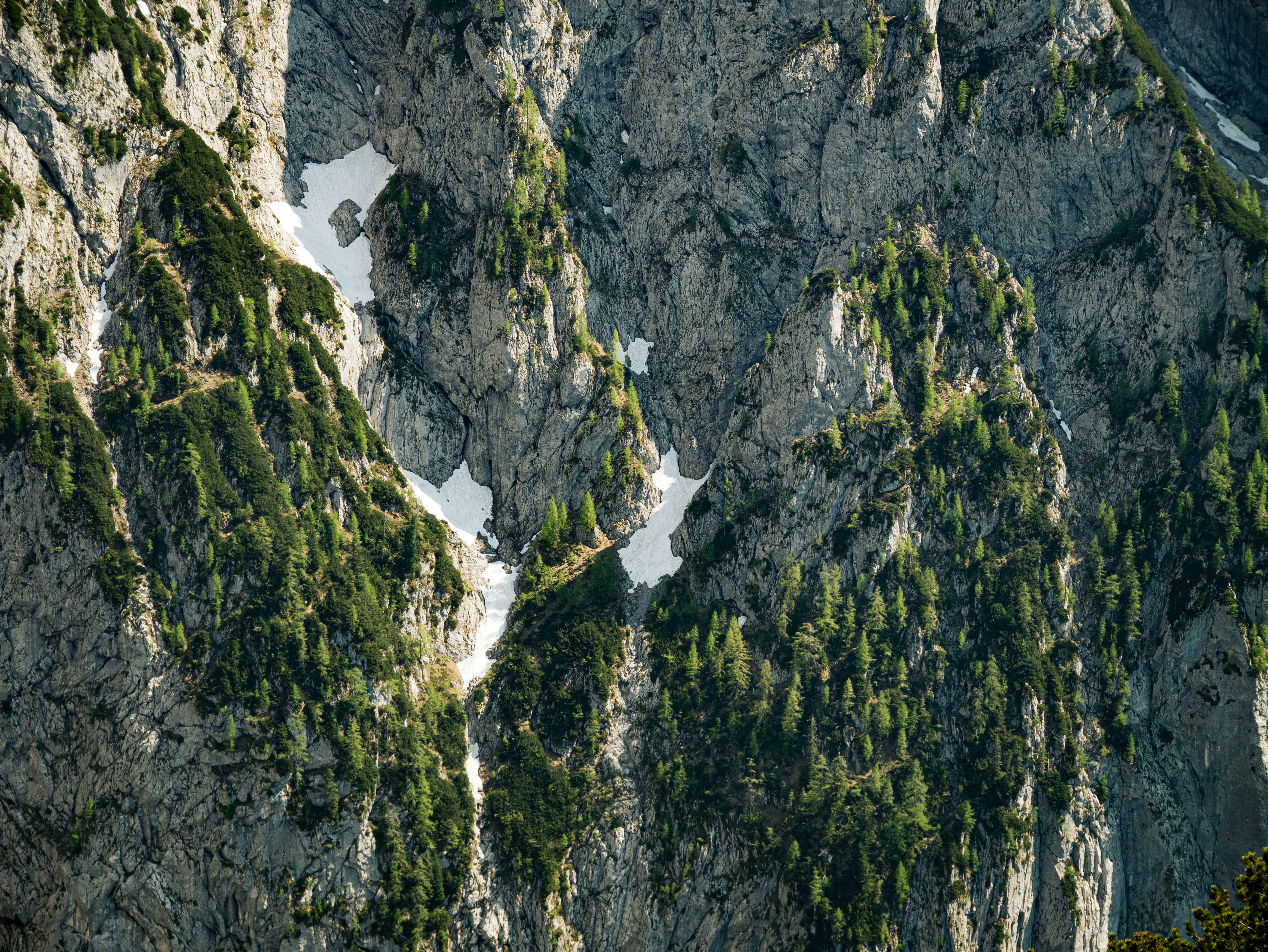 Cliff-face Veins: A rugged alpine wall in crevassed light