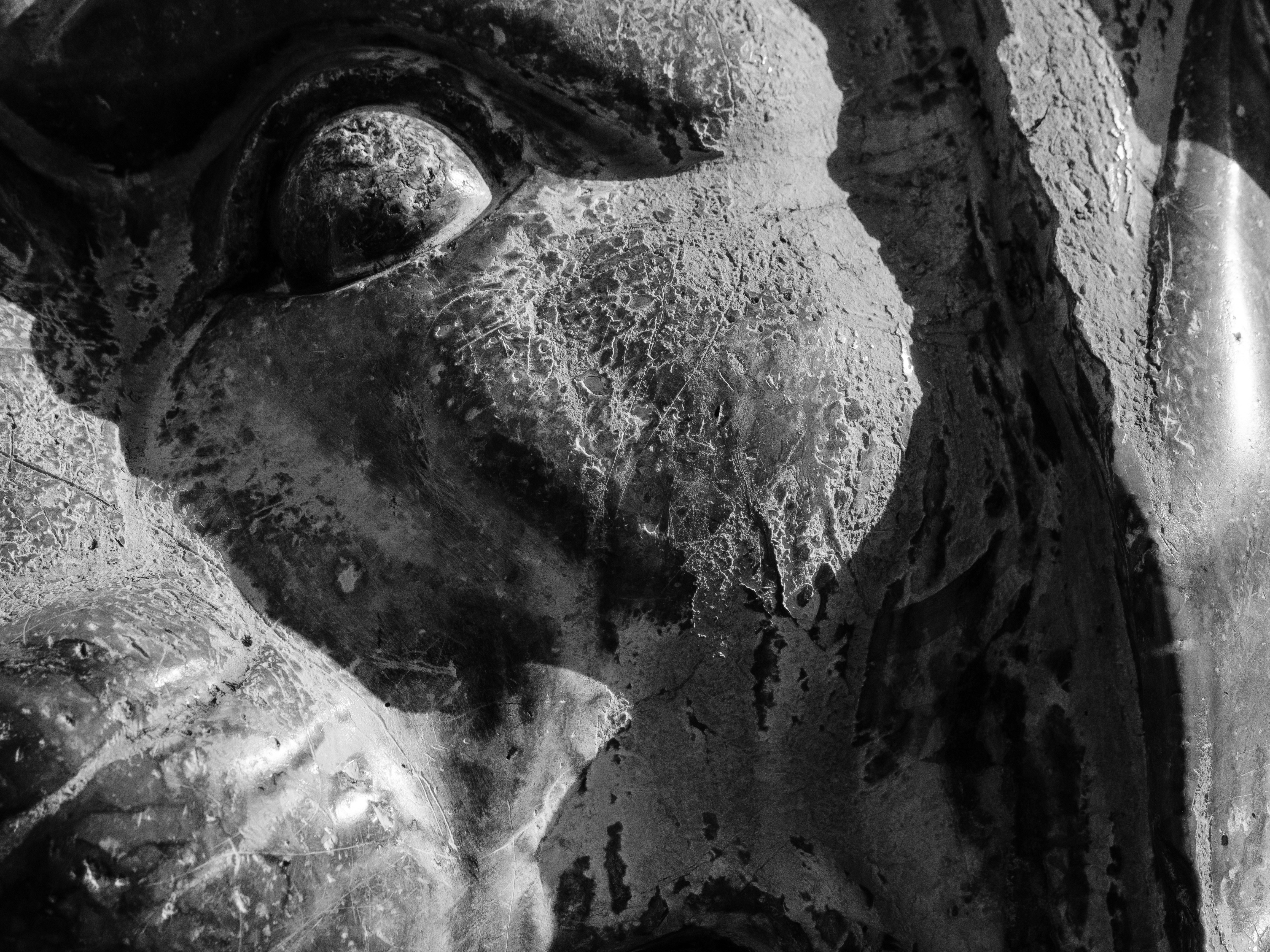 Stone-mottled Gaze: A Close-Up of a Weathered Portrait's Eye