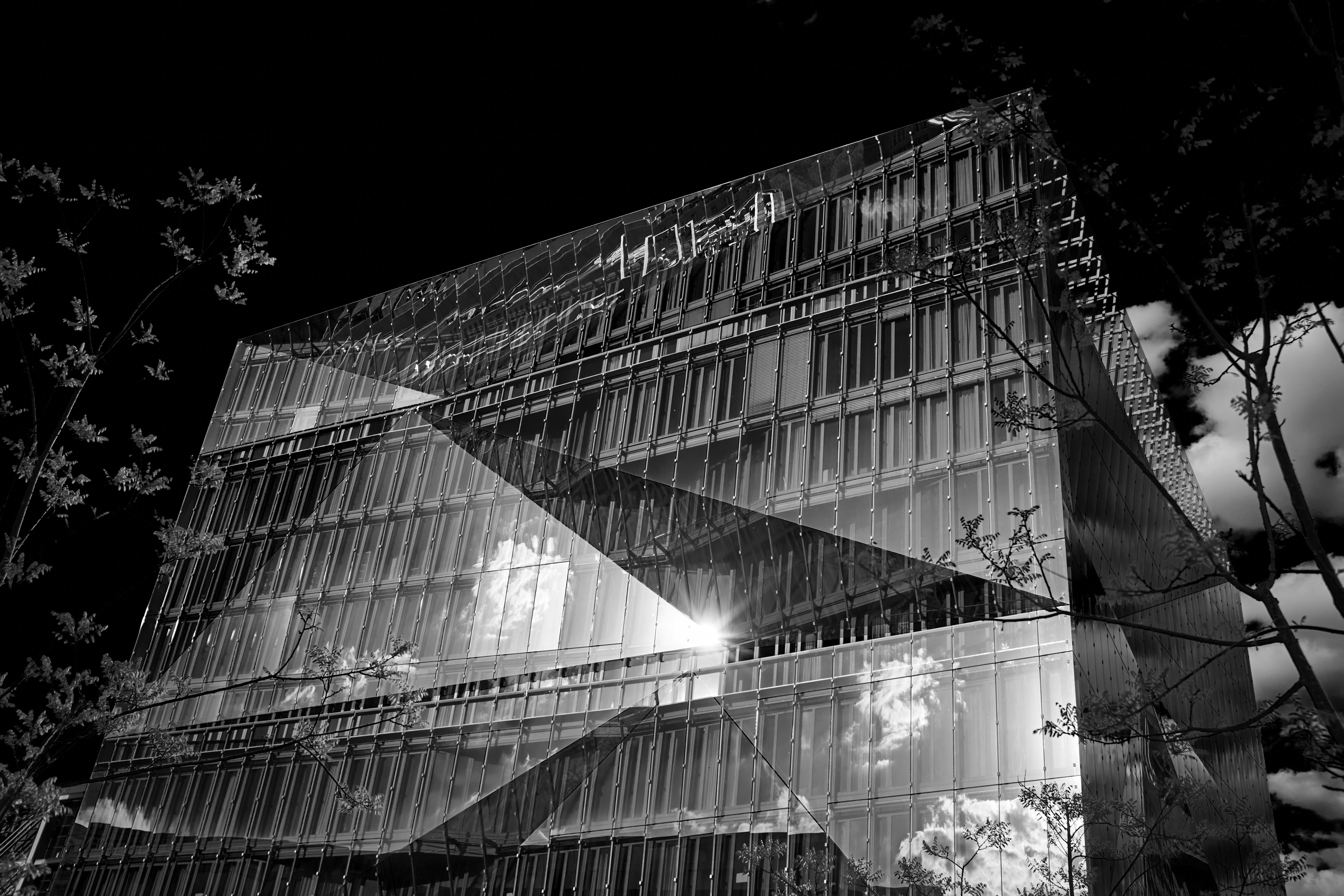 Faceted Glass Architecture: Reflections and Angles in Monochrome