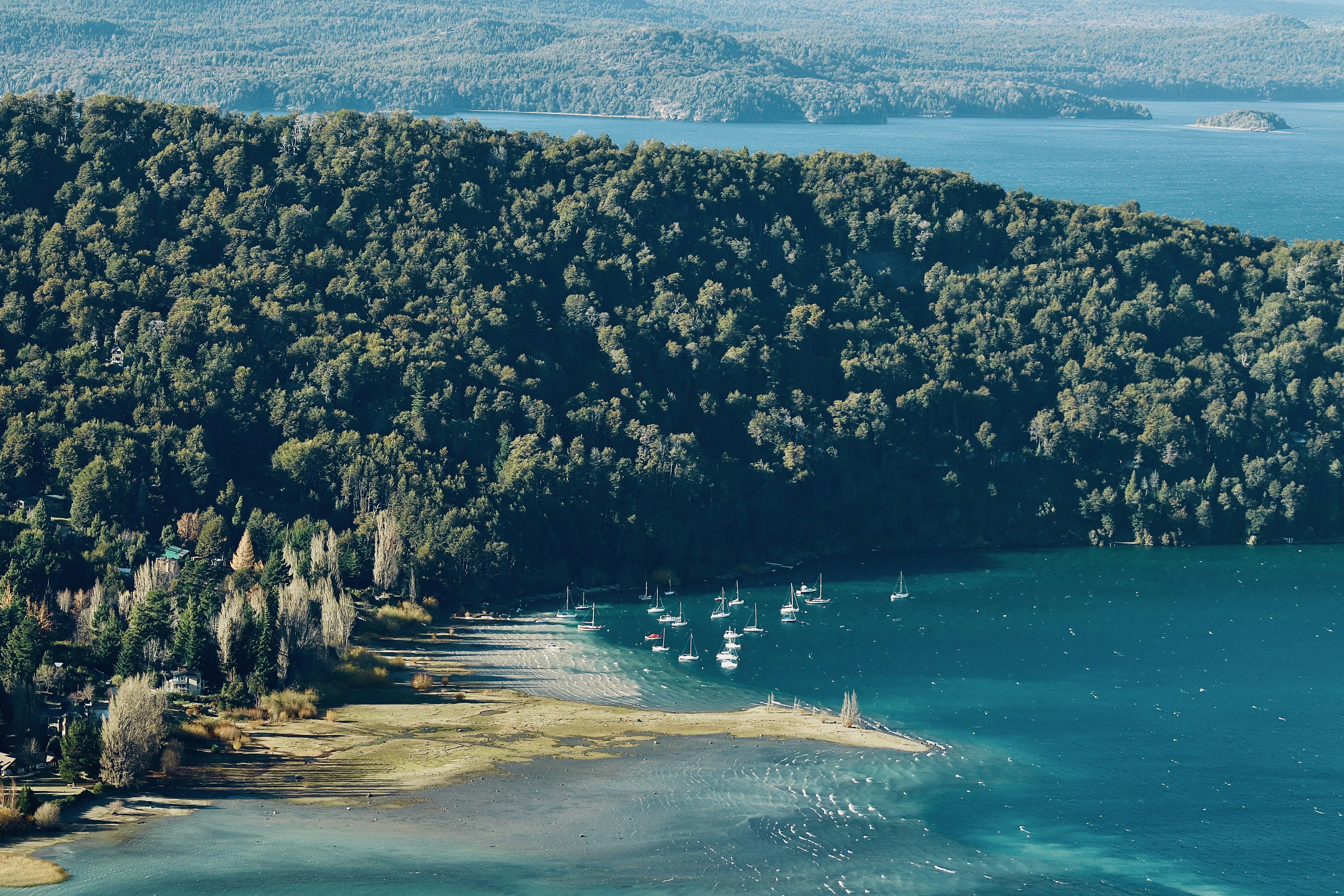 Coastal Inlet: Boats Quietly Nestled Along a Forested Shore