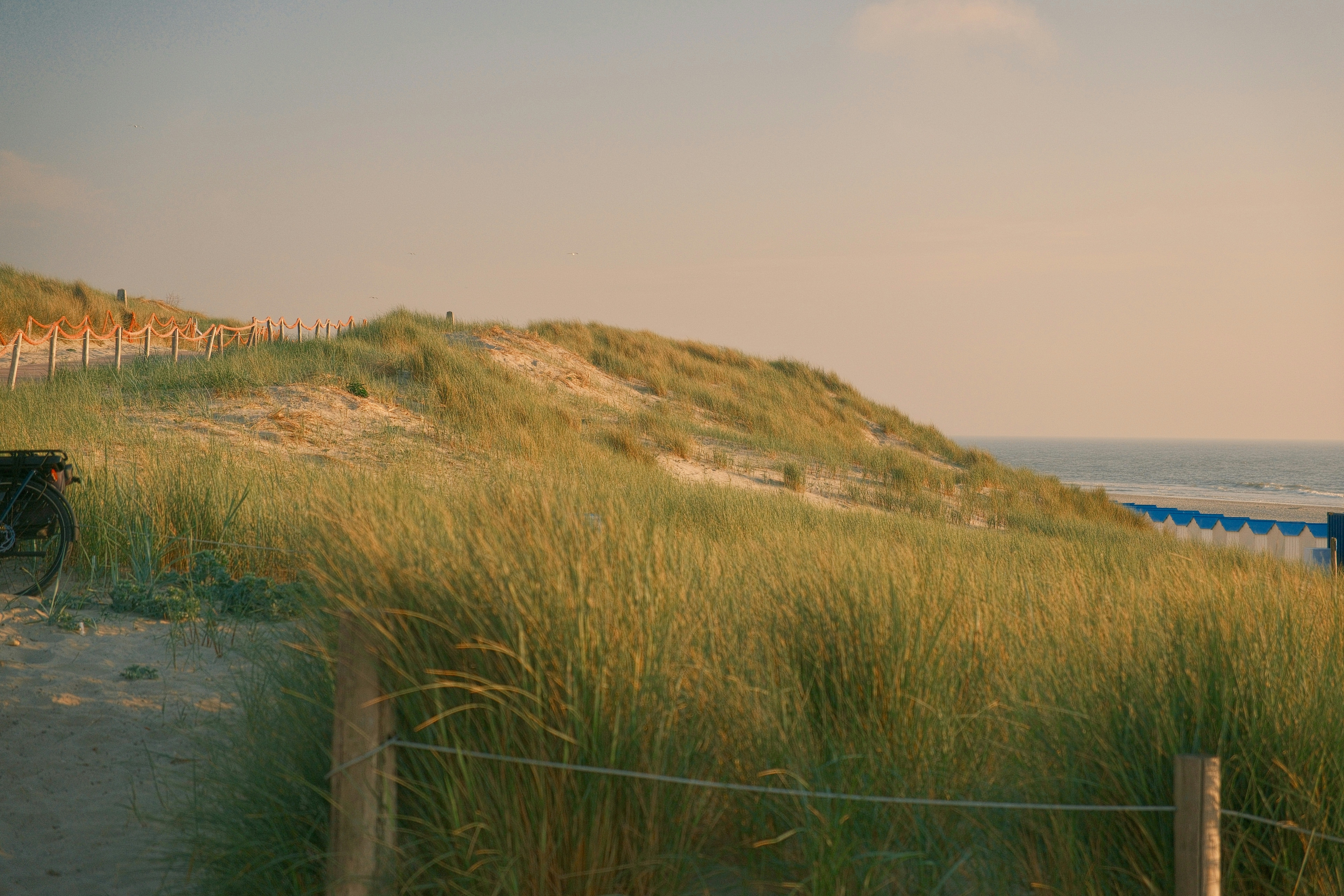 Dune Path to the Sea at Sunset