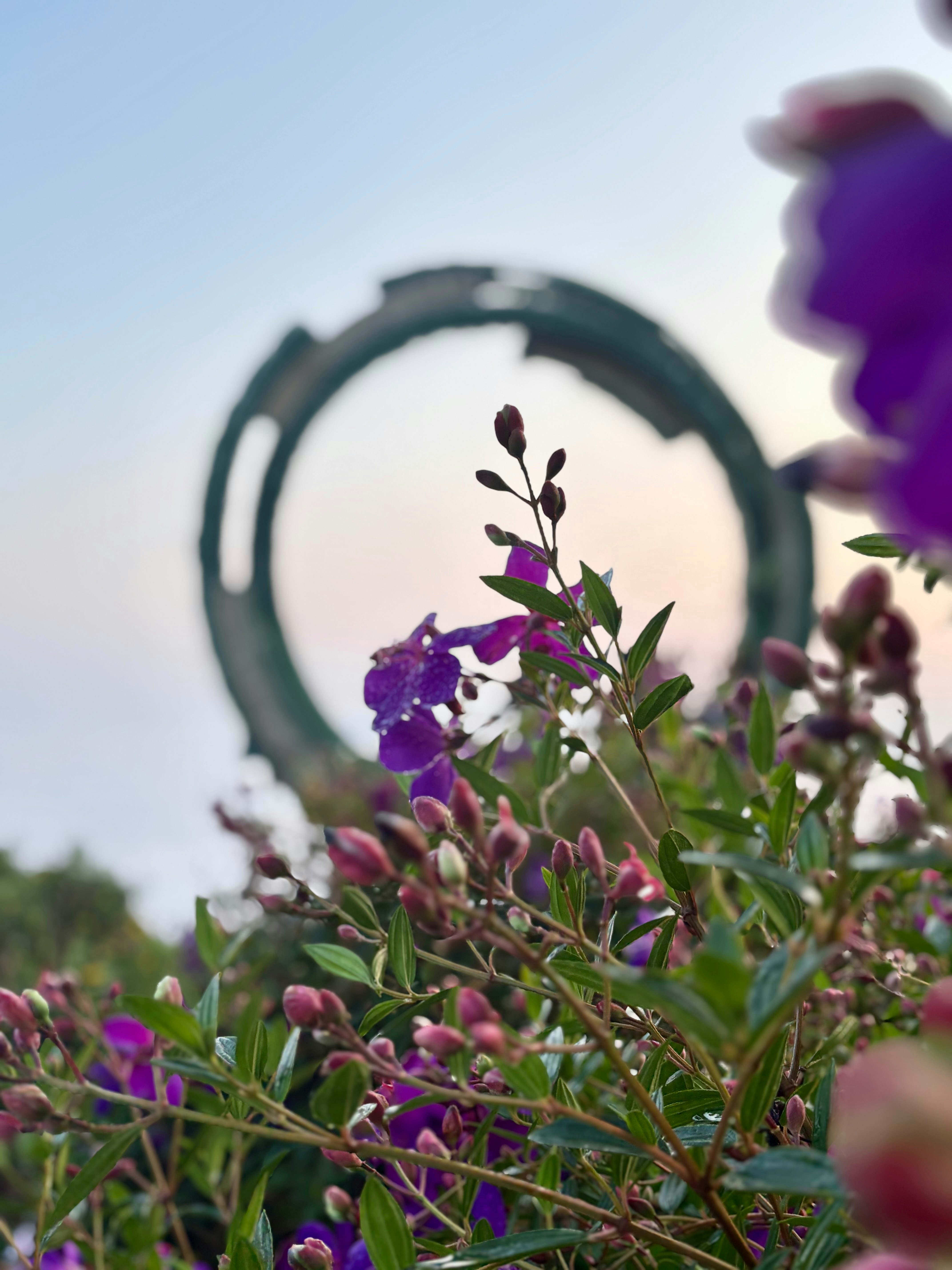 Close-up of purple flowers in the foreground with a circular sculpture in the softly lit background, creating a balanced composition.