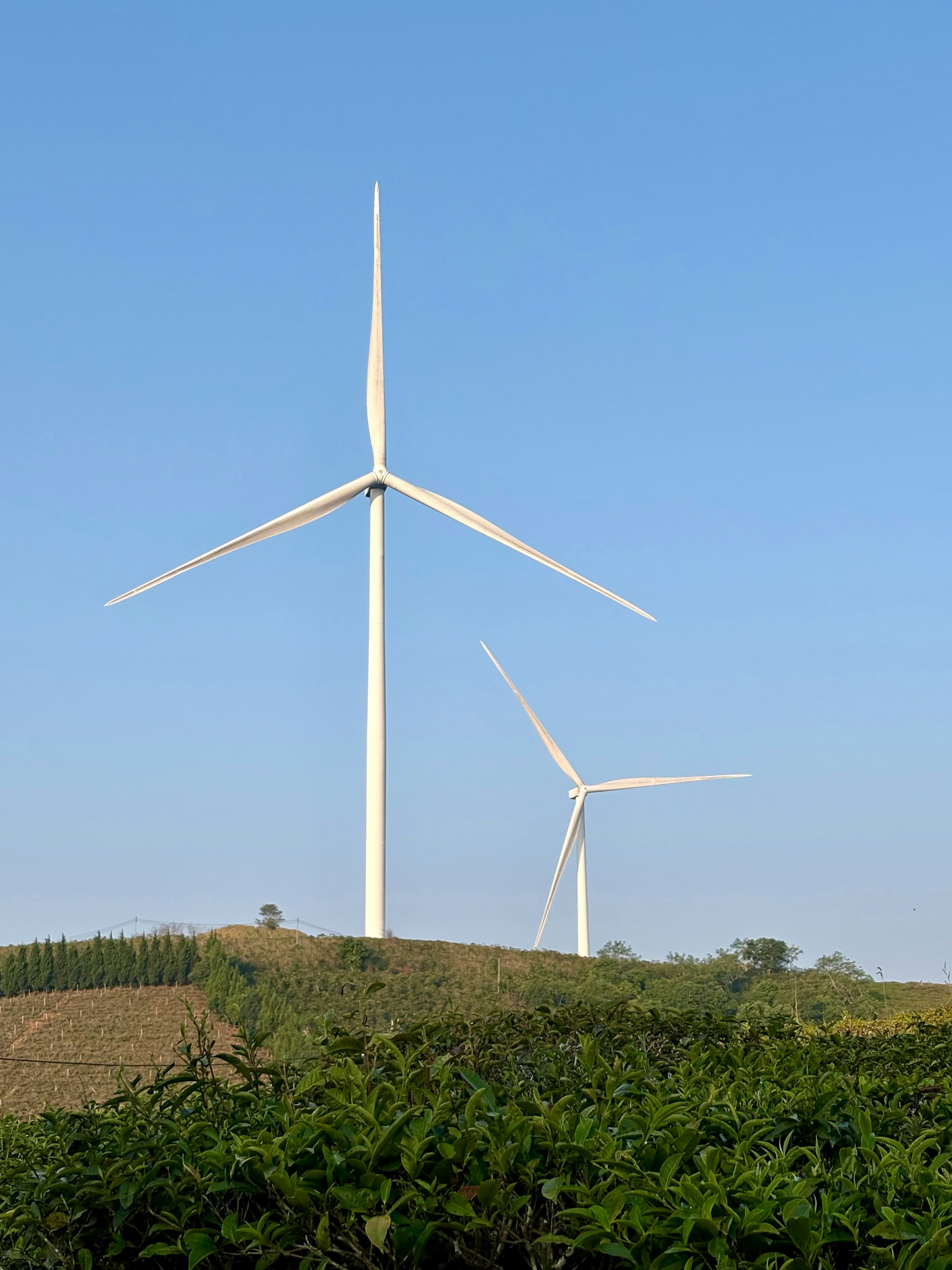 Whispering Giants: Wind Turbines on a Crest