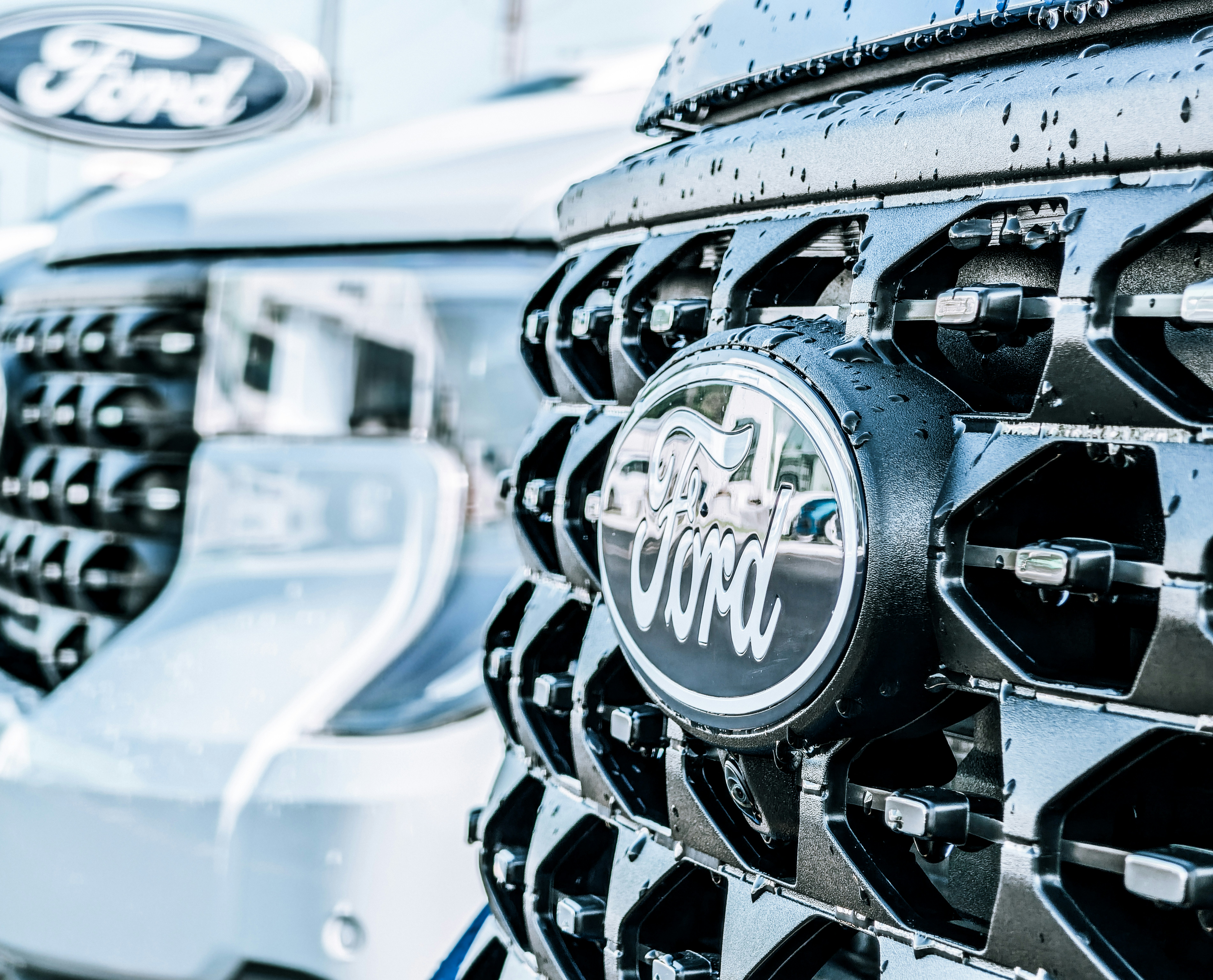 Grille Emblem in Focus: Ford Badge Framed by Chrome
