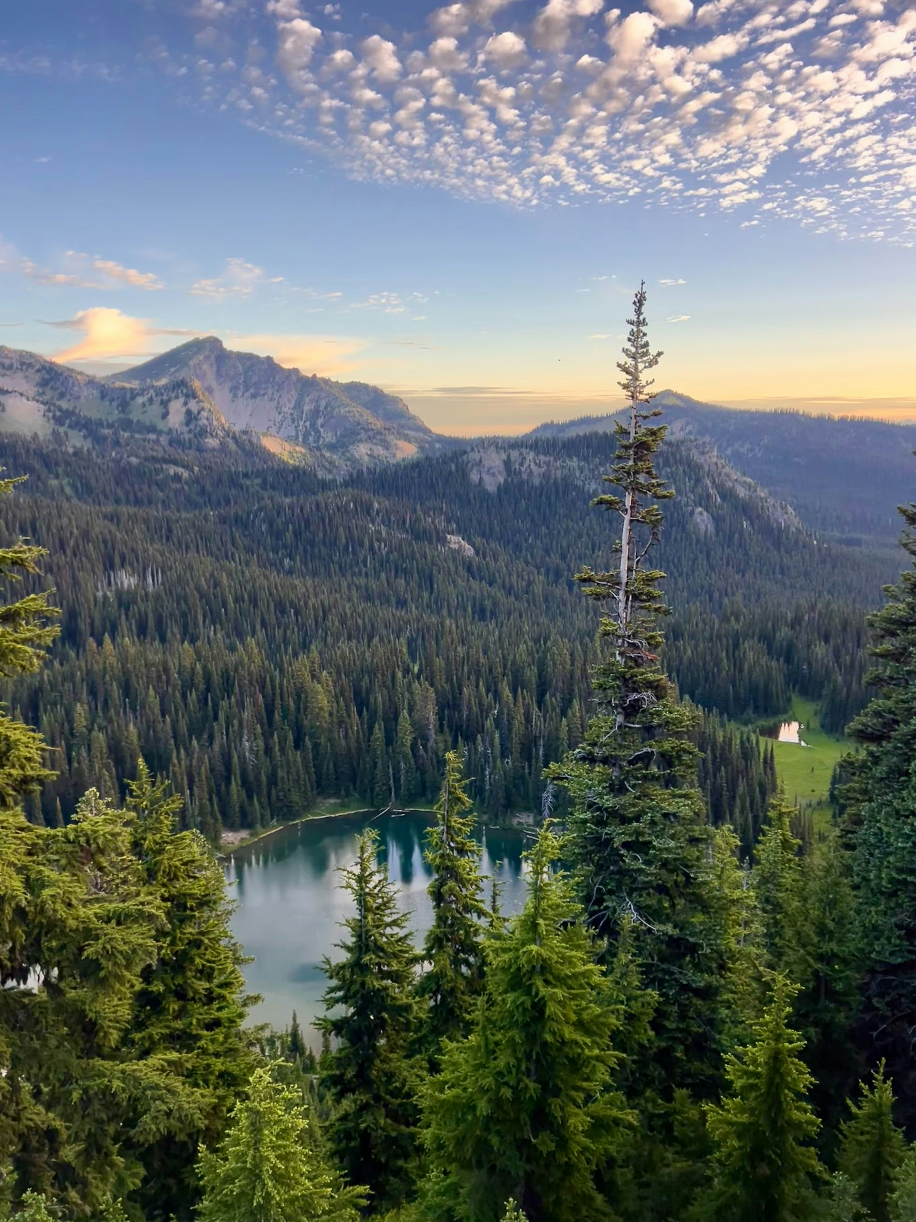 Sunlit Ridge: A Mountain Lake Framed by Pine Giants