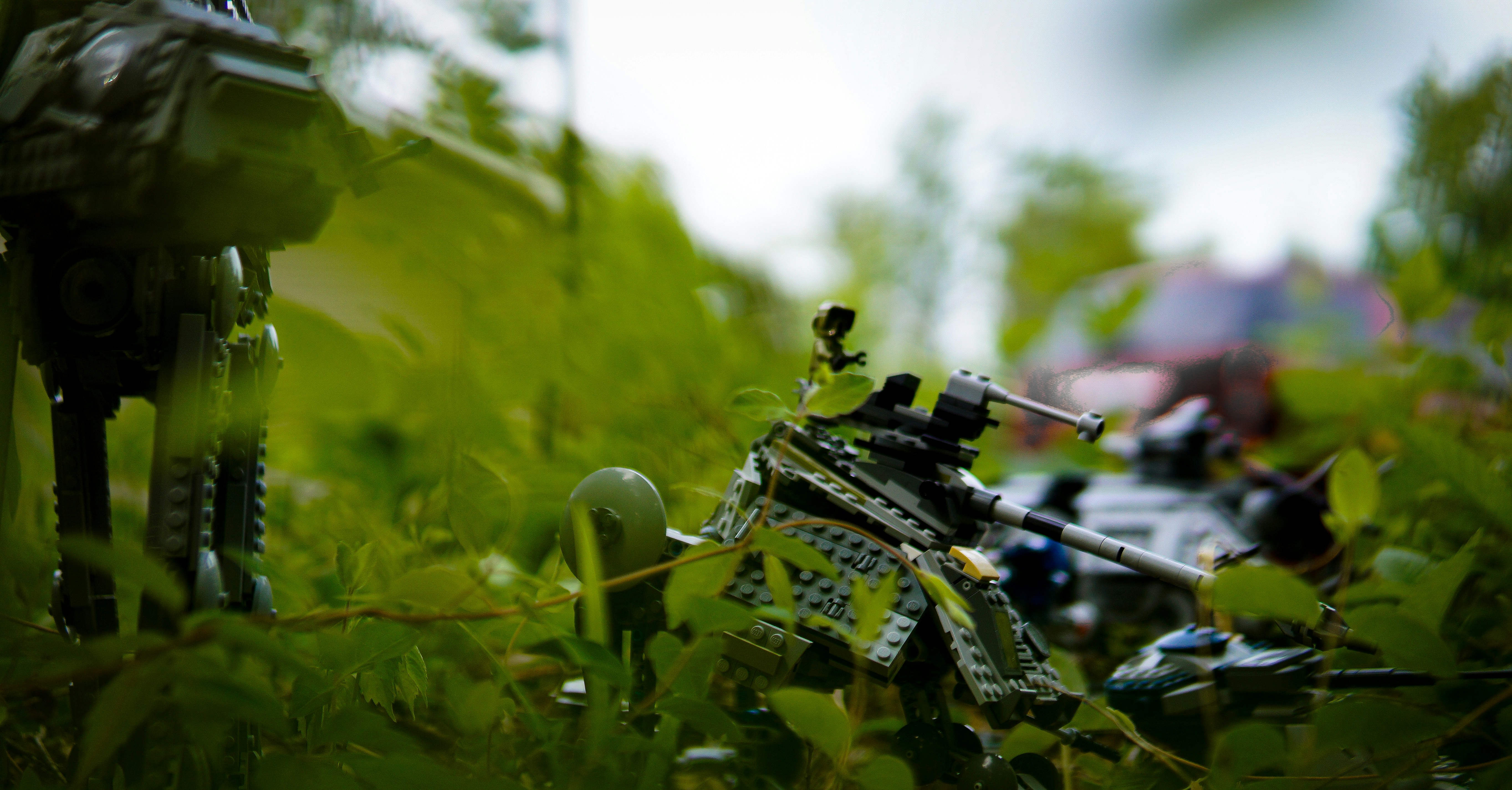 Hidden Armory in the Green Veil: A Quiet Battlefield Moment