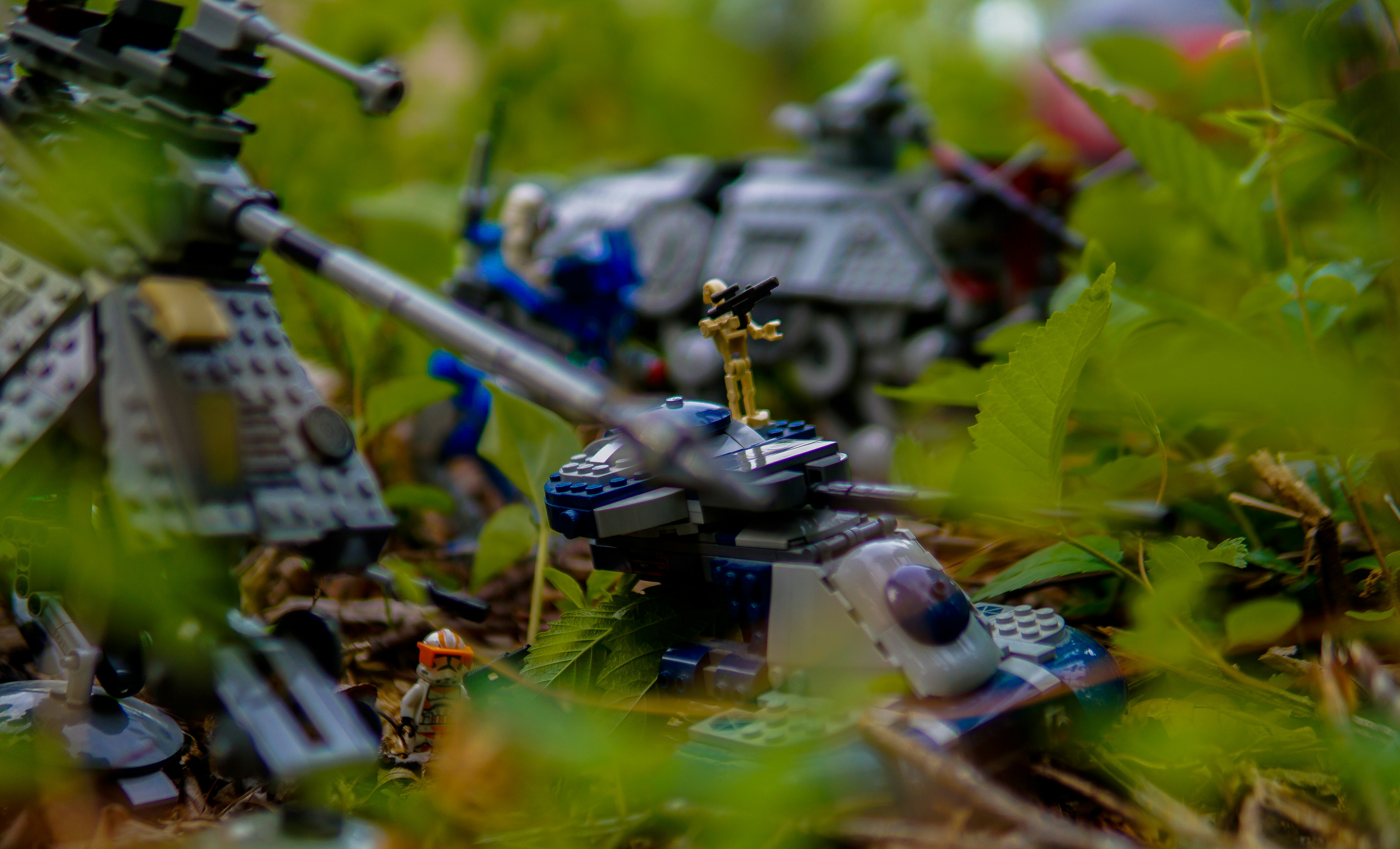 Hidden Battle: Tiny Warriors in the Underbrush